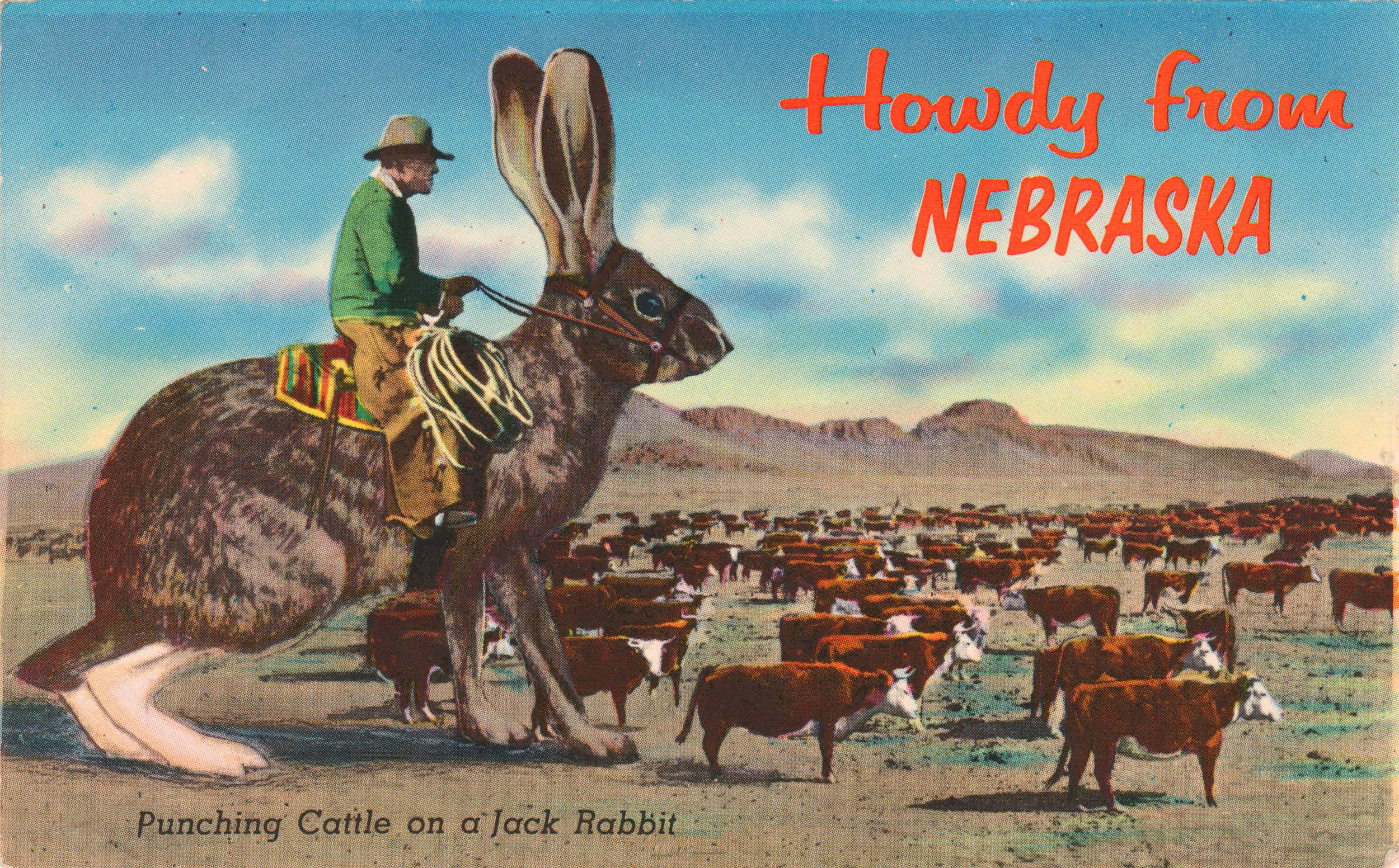 postcard, Paper, Poster, Advertising, Vintage, Retro, Antique, Humor ...