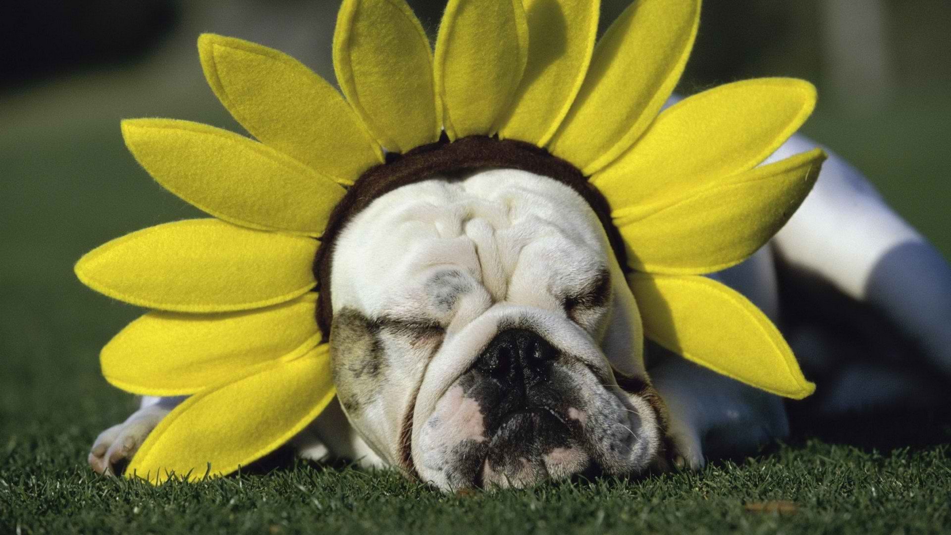 346849 Wallpapers HD / Desktop and Mobile Backgrounds