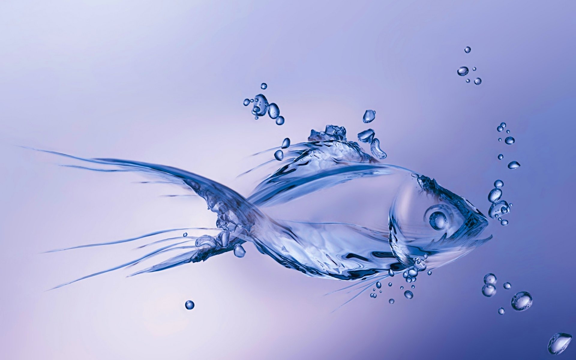 fish, Fishes, Underwater, Ocean, Sea, Sealife, Nature Wallpapers HD ...