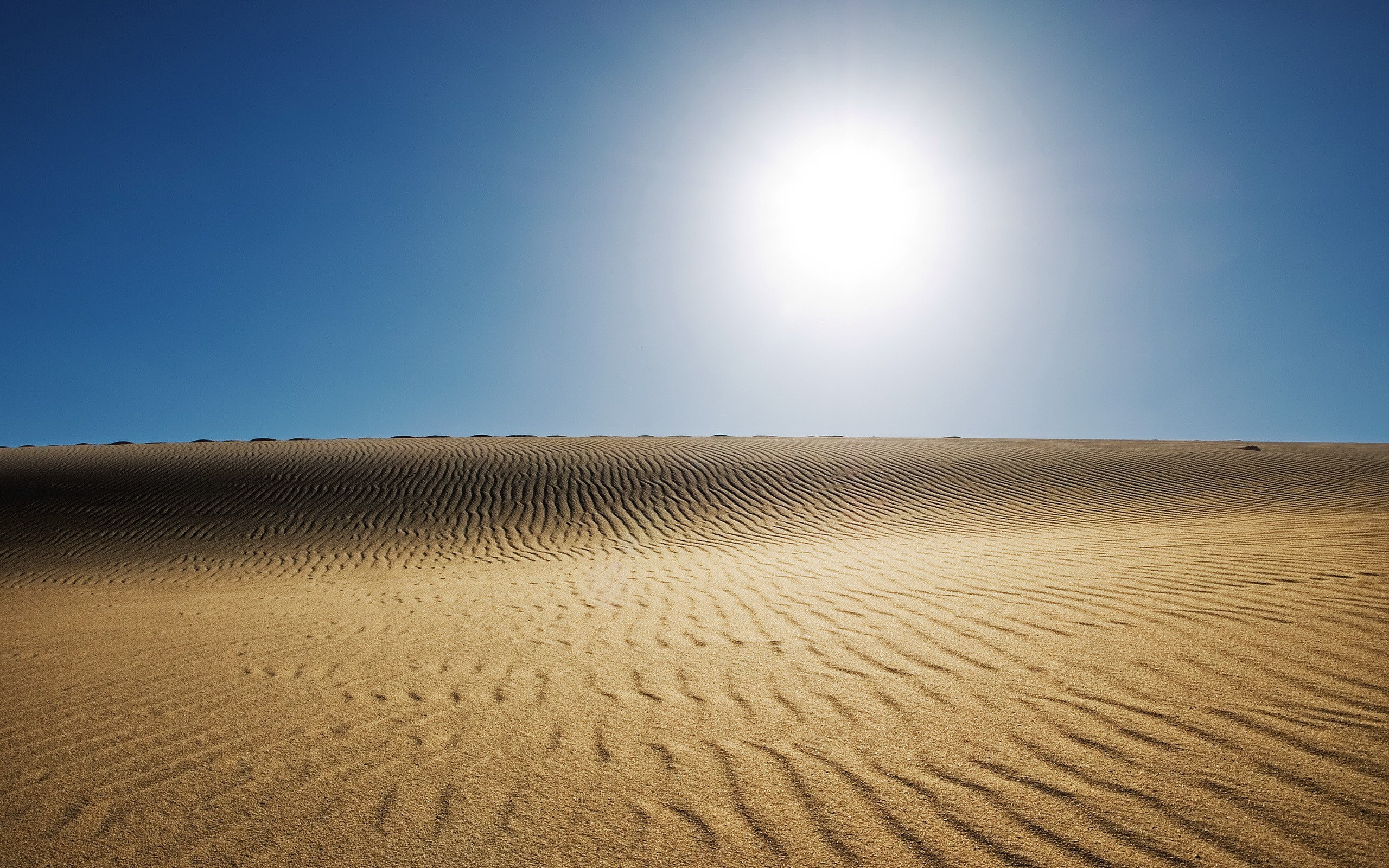 sunny, Desert Wallpapers HD / Desktop and Mobile Backgrounds
