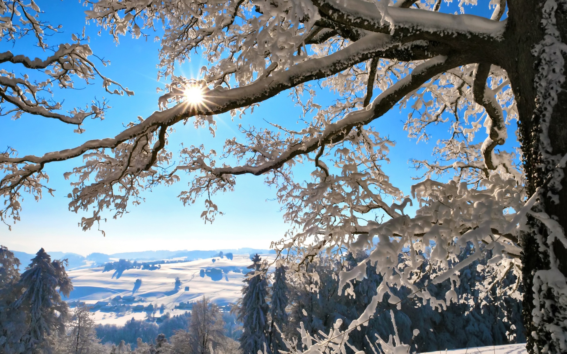 nature, Landscapes, Trees, Scenic, View, Winter, Snow, Seasons ...