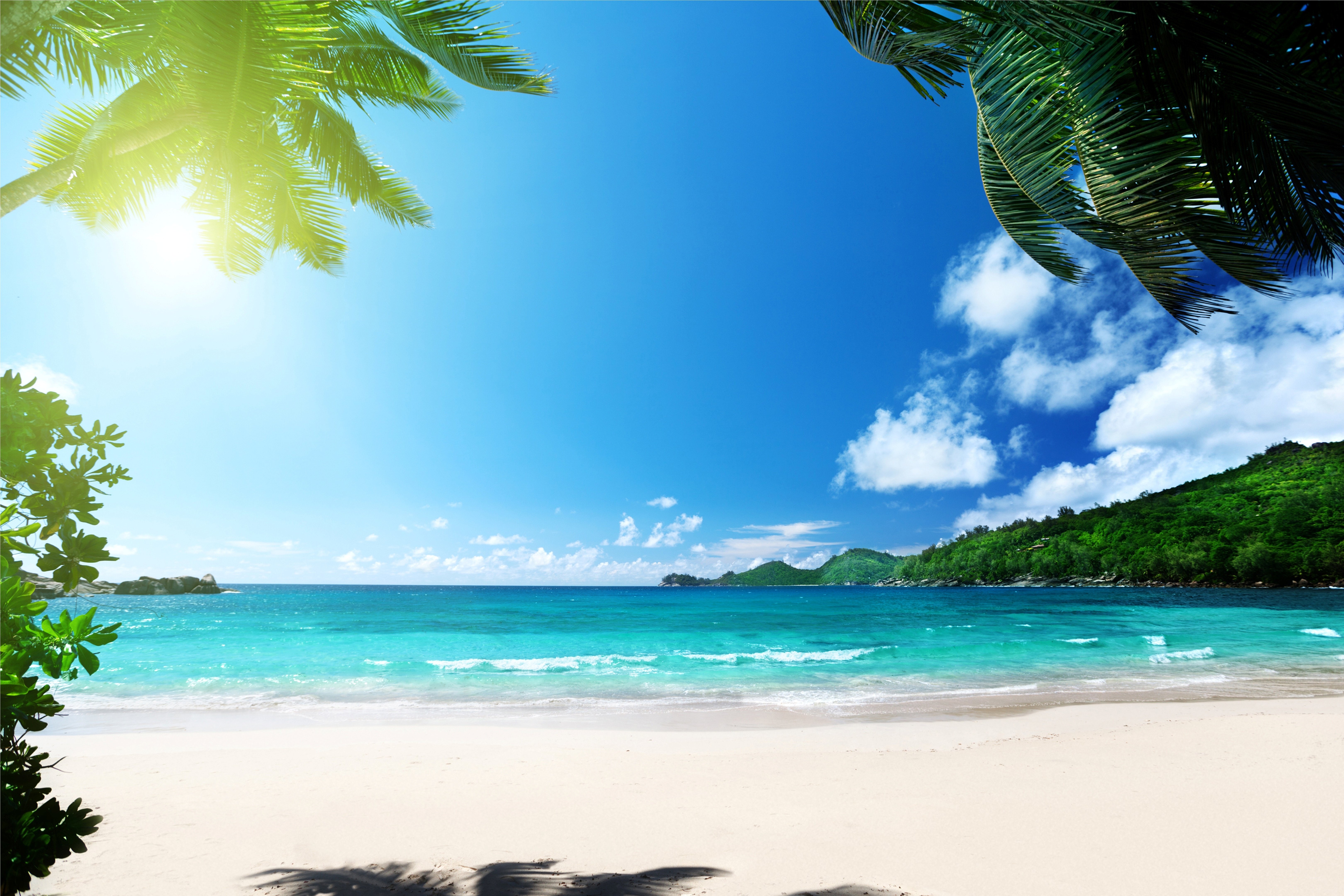 Beach Summer Palms Ocean Tropical Paradise Sea Sunshine Beach Summer Palms Ocean Tropical Paradise Sea Sunshine