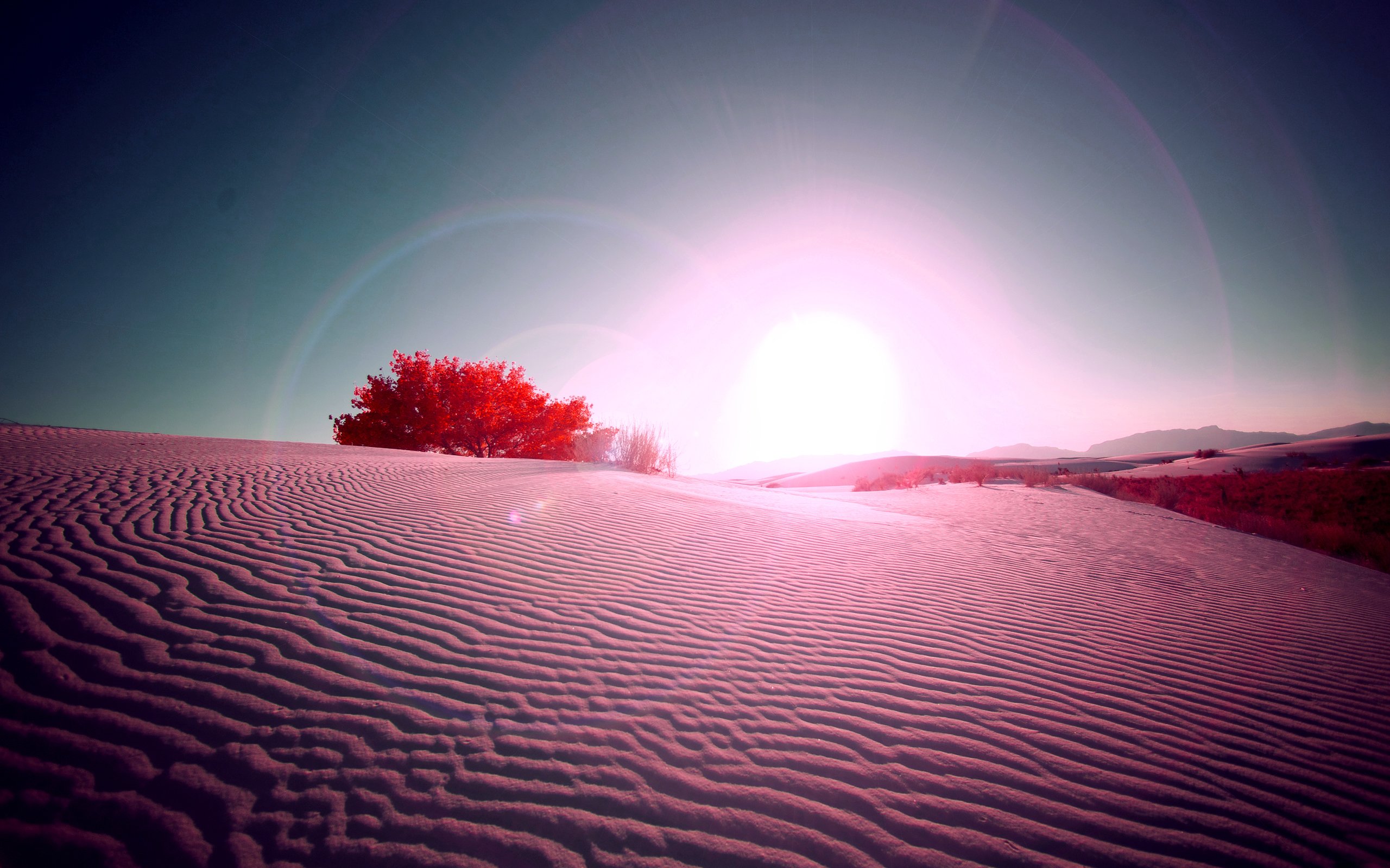 desert, Flare, Red, Desert Wallpapers HD / Desktop and Mobile Backgrounds