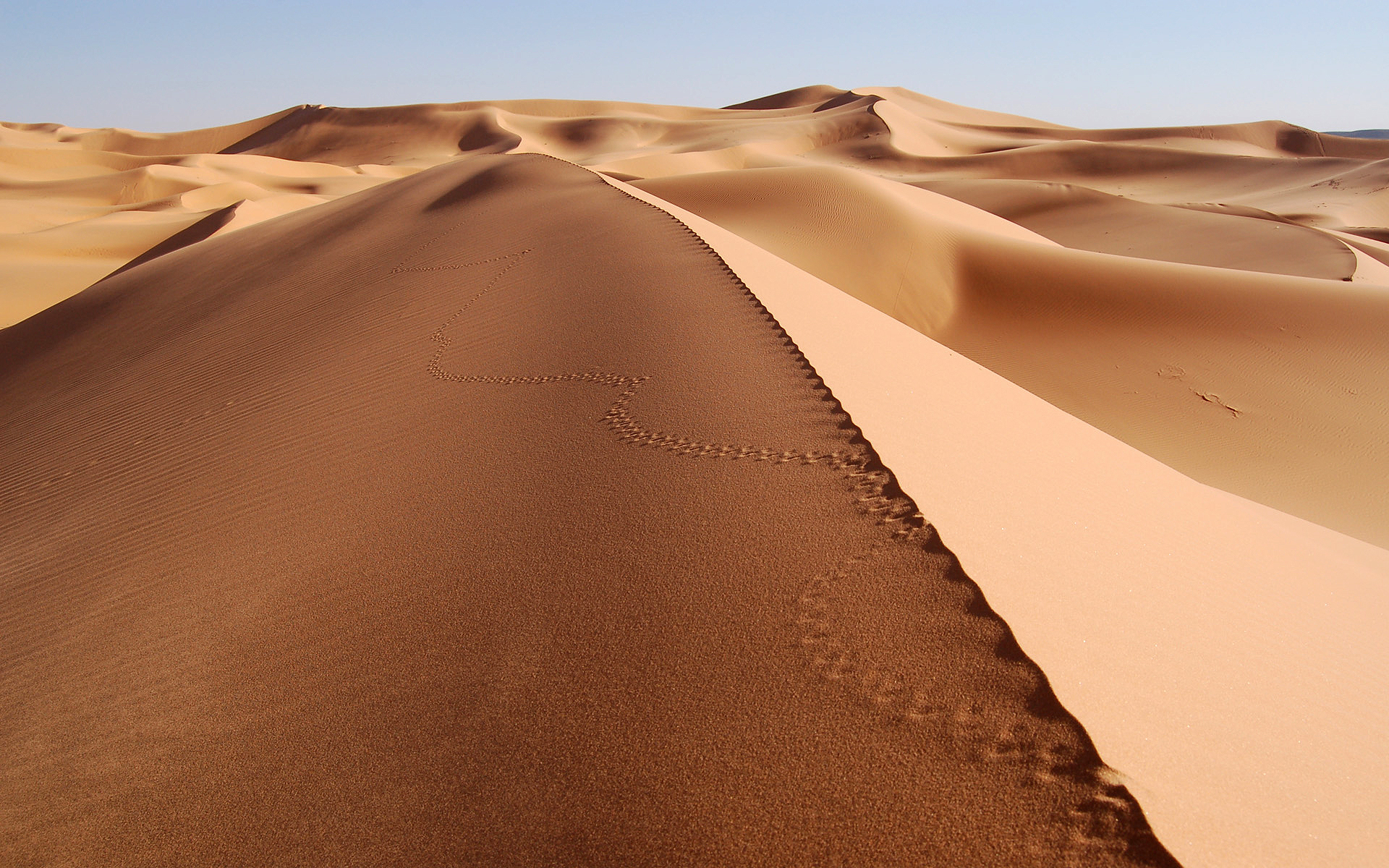 sea, Of, Sand Wallpapers HD / Desktop and Mobile Backgrounds