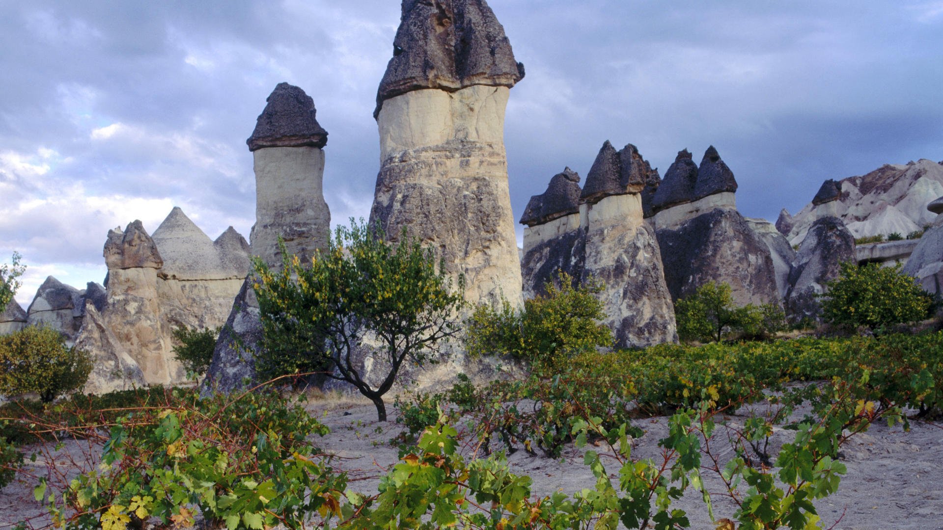 fairy, Chimneys, Cappadocia, Turkey, Nature, Amazing, Beautiful ...
