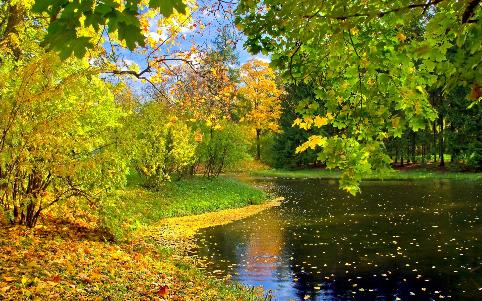 Autumn Fall Season Nature Landscape Leaf Leaves Color Seasons 