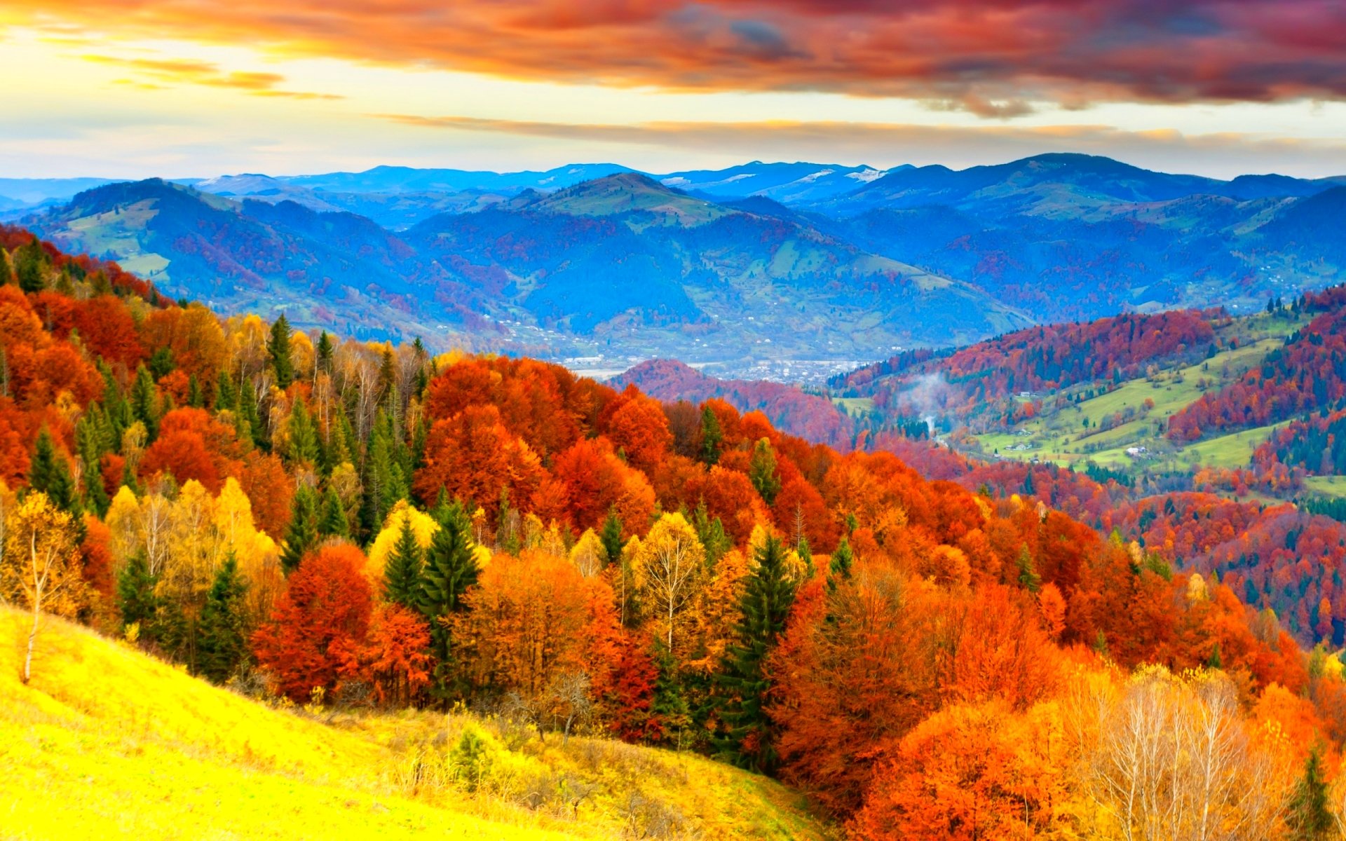 Autumn Fall Season Nature Landscape Leaf Leaves Color Seasons 