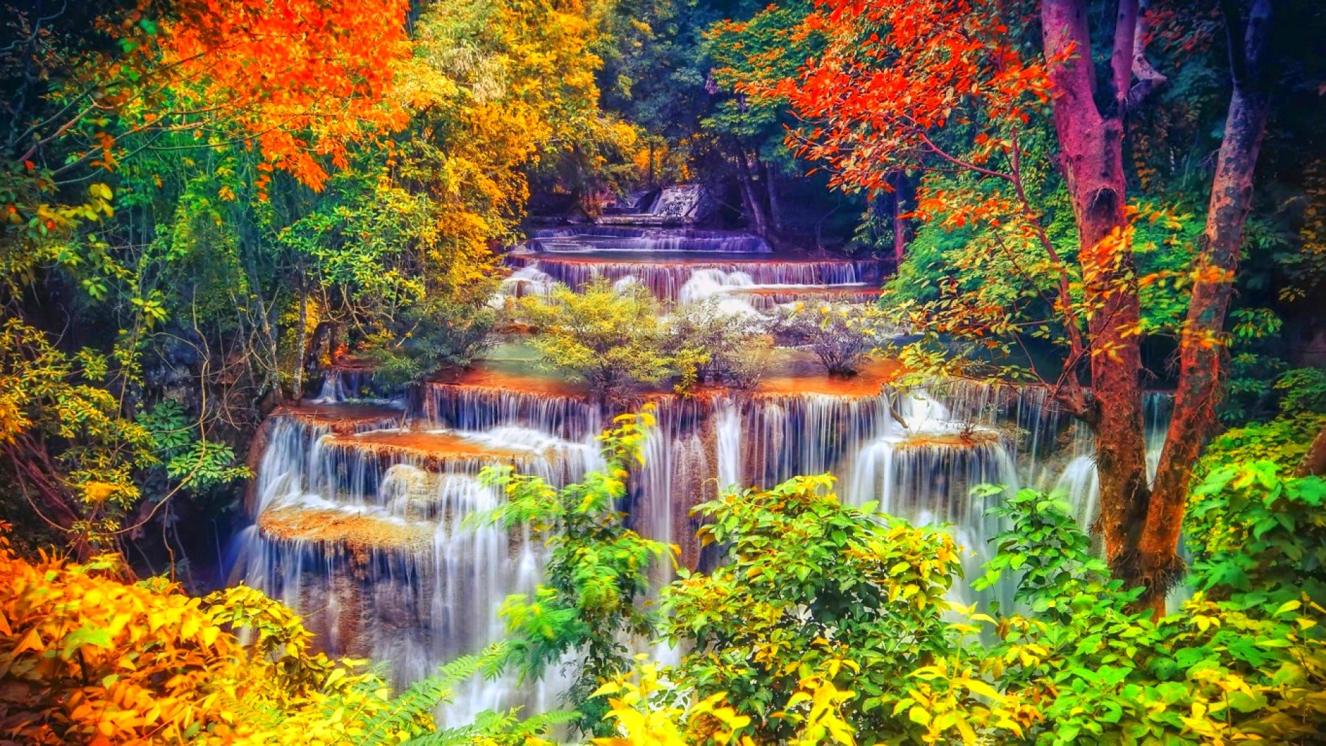 Autumn Fall Season Nature Landscape Leaf Leaves Color Seasons Tree Forest Wallpapers 