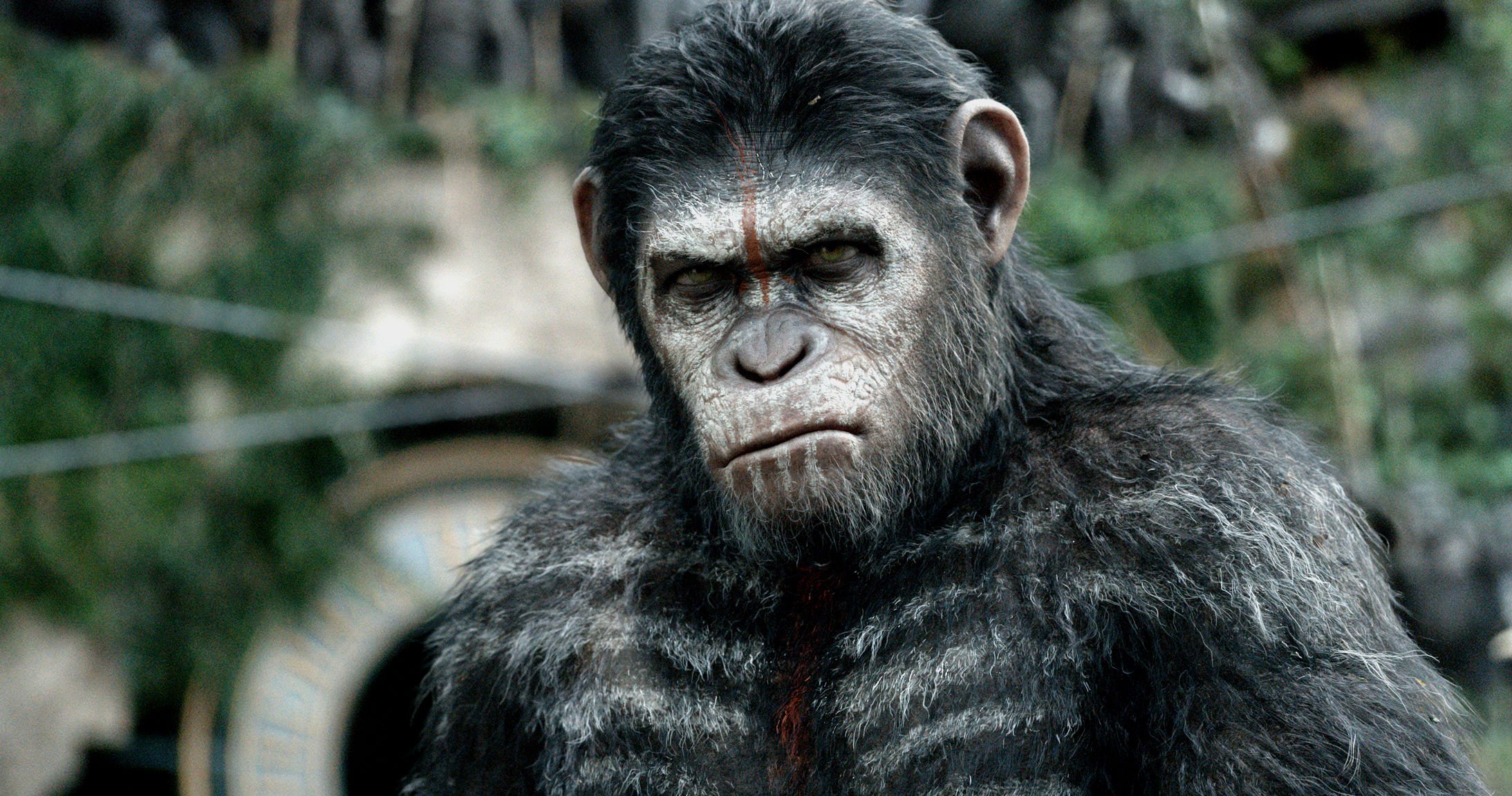 dawn of the apes, Action, Drama, Sci fi, Dawn, Planet, Apes, Monkey ...