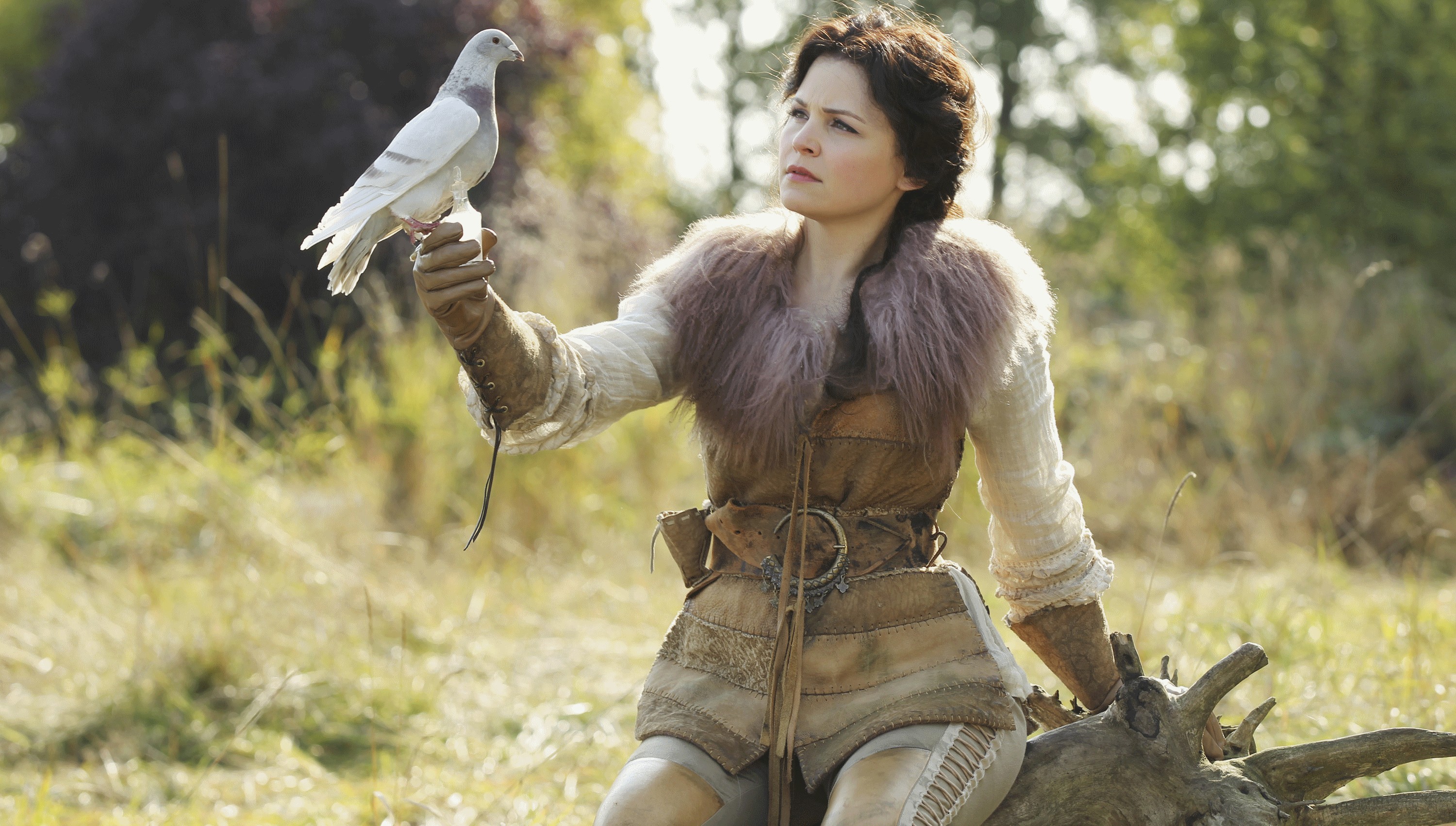 once upon a time, Fantasy, Drama, Adventure, Mystery, Fairy, Rw ...