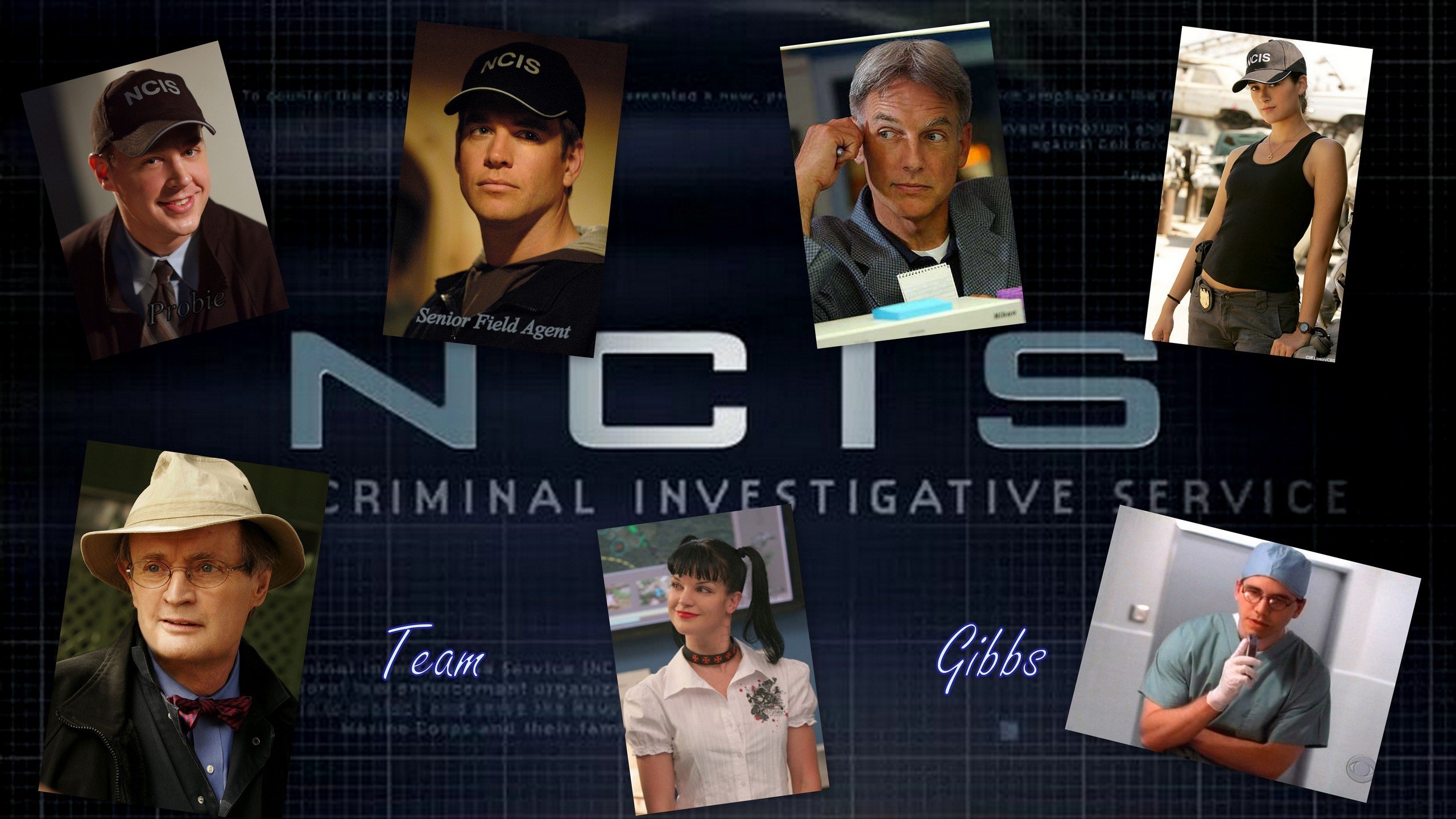 ncis, Series, Crime, Drama, Procedural, Military, Navy Wallpapers HD ...