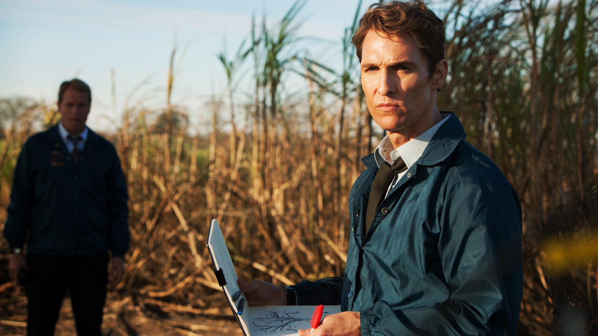 true, Detective, Crime, Drama, Mystery, Series, Hbo Wallpapers HD ...