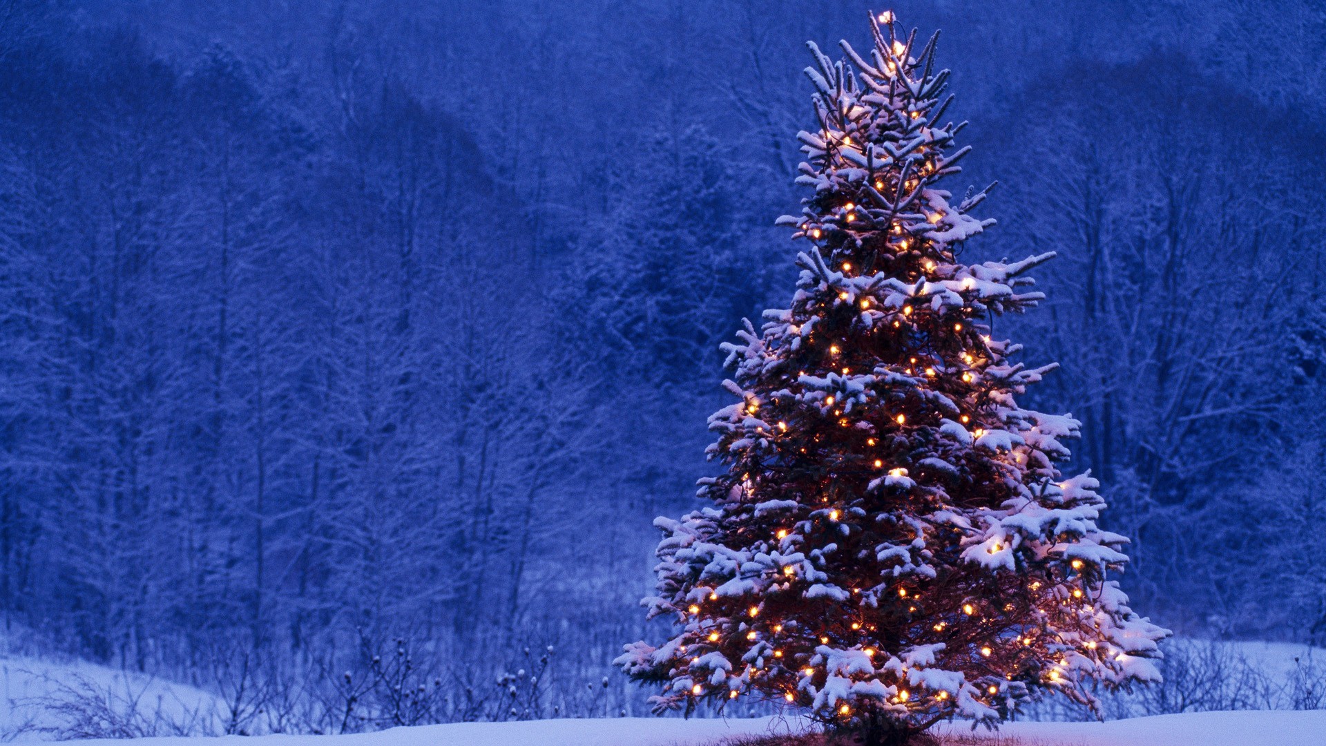 night, Noel Wallpapers HD / Desktop and Mobile Backgrounds