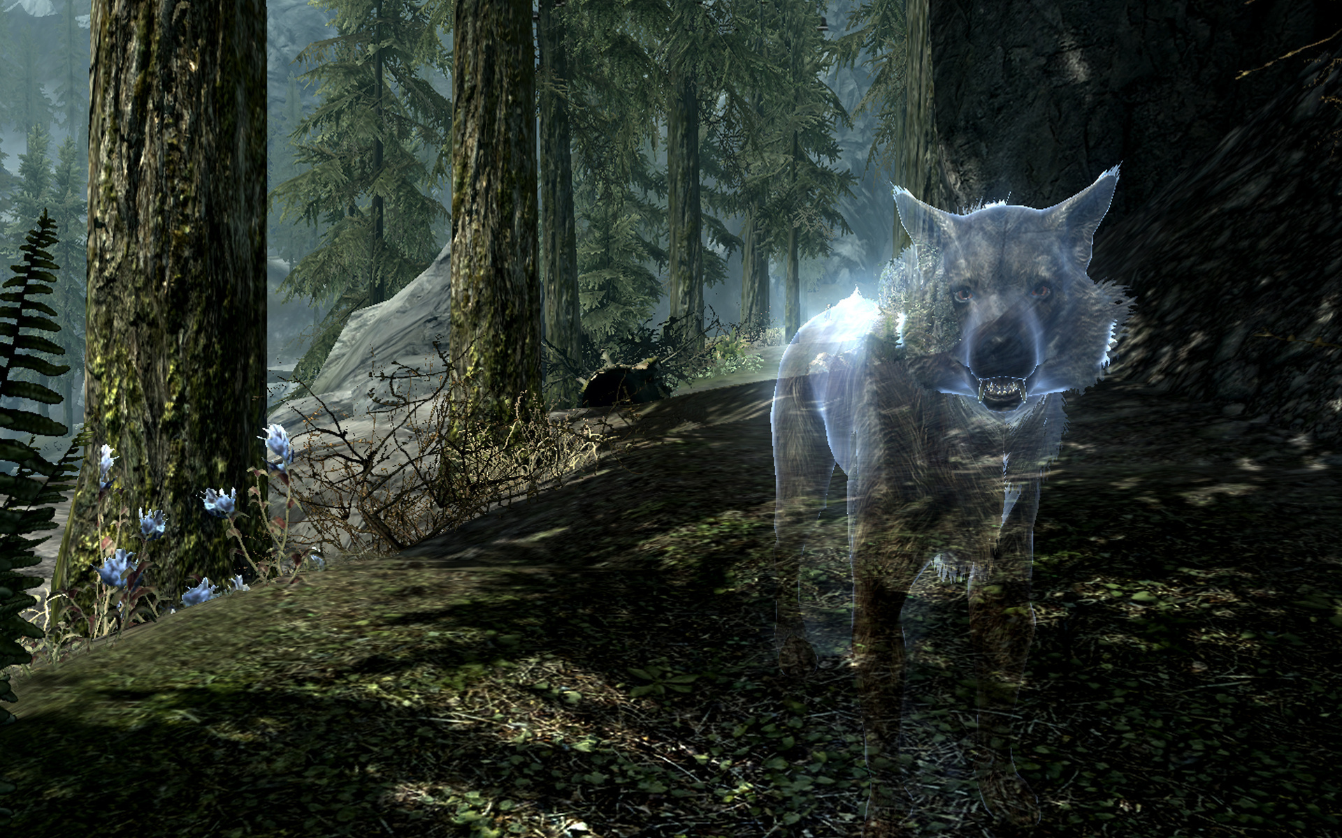 skyrim, Elder, Scrolls, Cg, Digital, Art, Screenshot, Animals, Wolf ...