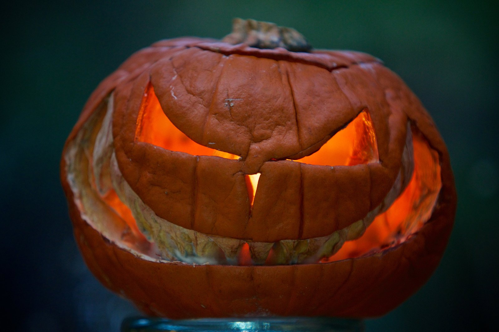 halloween, Citrouille, Pumpkin Wallpapers HD / Desktop and Mobile ...