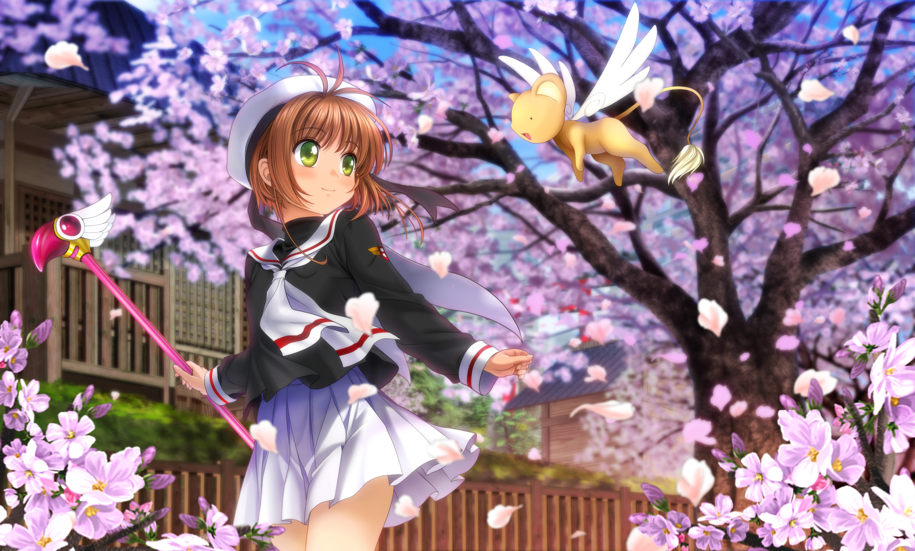 card, Captor, Sakura, Brown, Hair, Cgcollection, Cherry, Blossoms ...