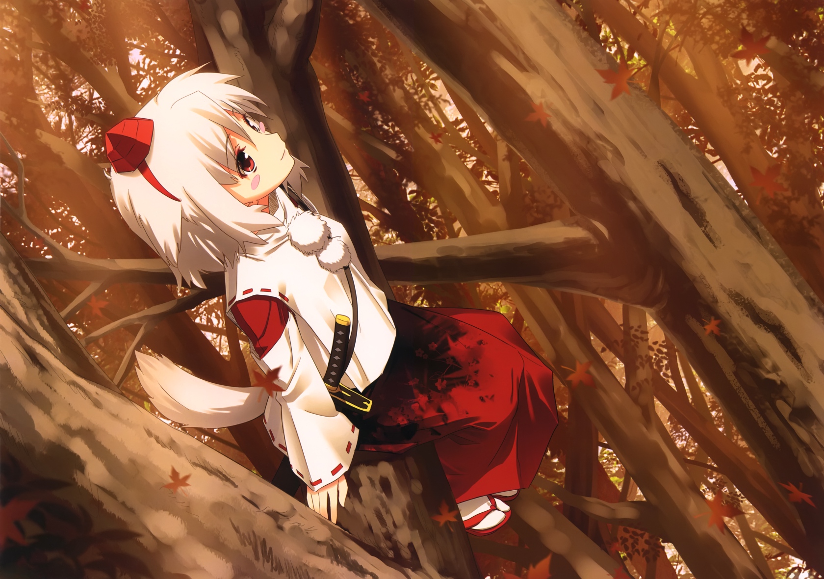 animal, Ears, Blush, Forest, Hat, Inubashiri, Momiji, Japanese, Clothes ...