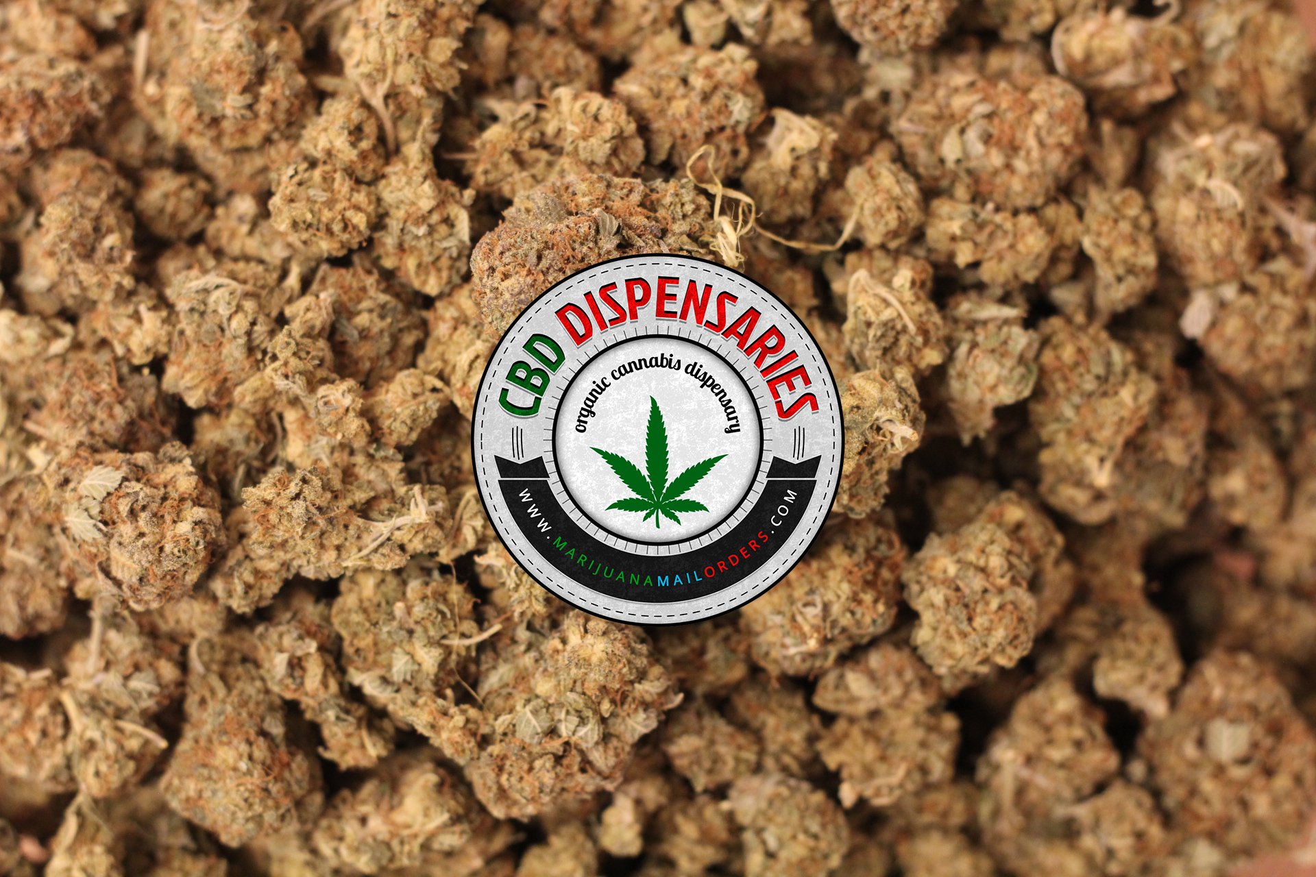 weed, Drugs, Marijuana, 420, Nature, Psychedelic, Plant, Cannabis ...