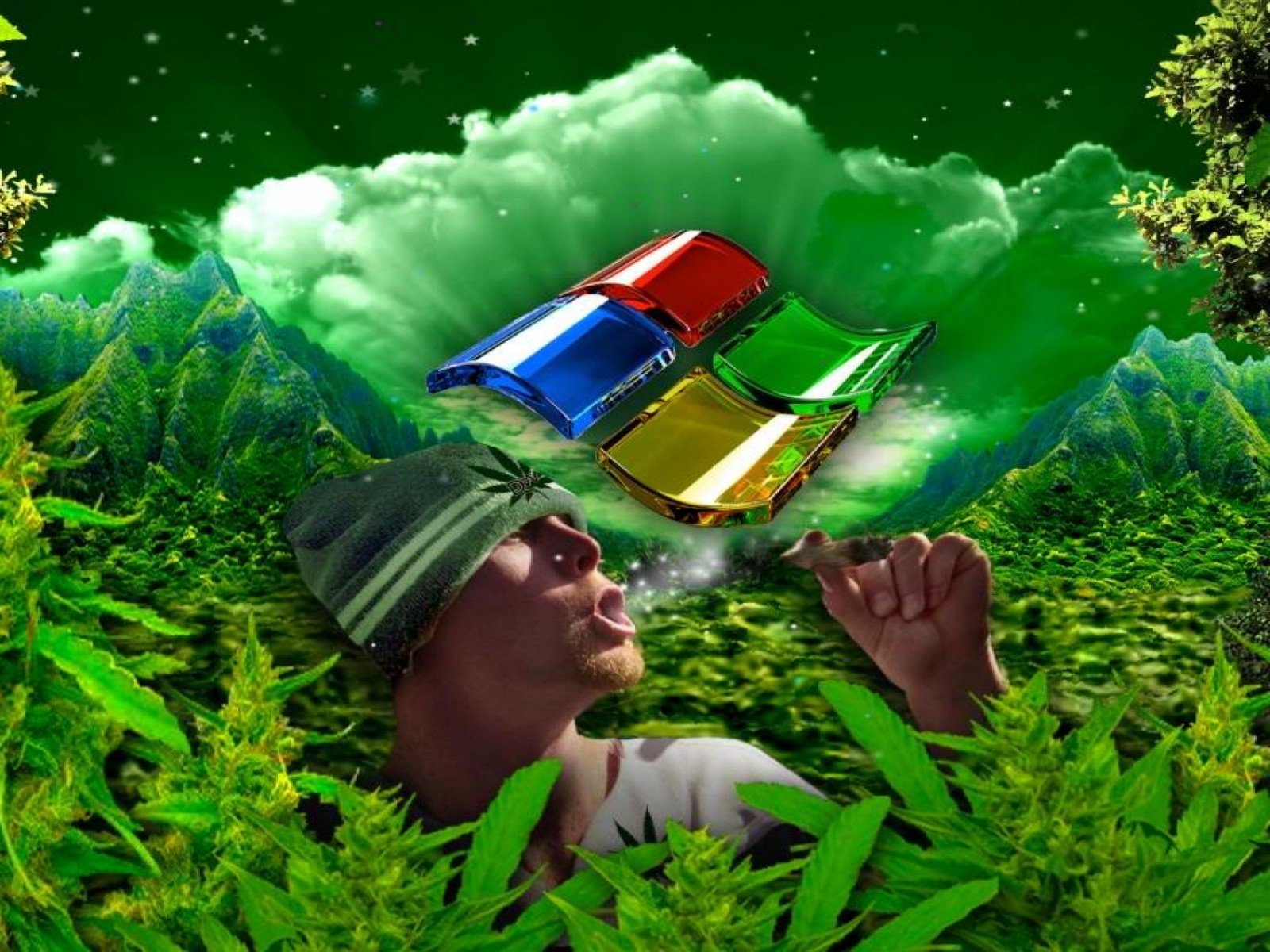 weed, Drugs, Marijuana, 420, Nature, Psychedelic, Plant, Cannabis ...