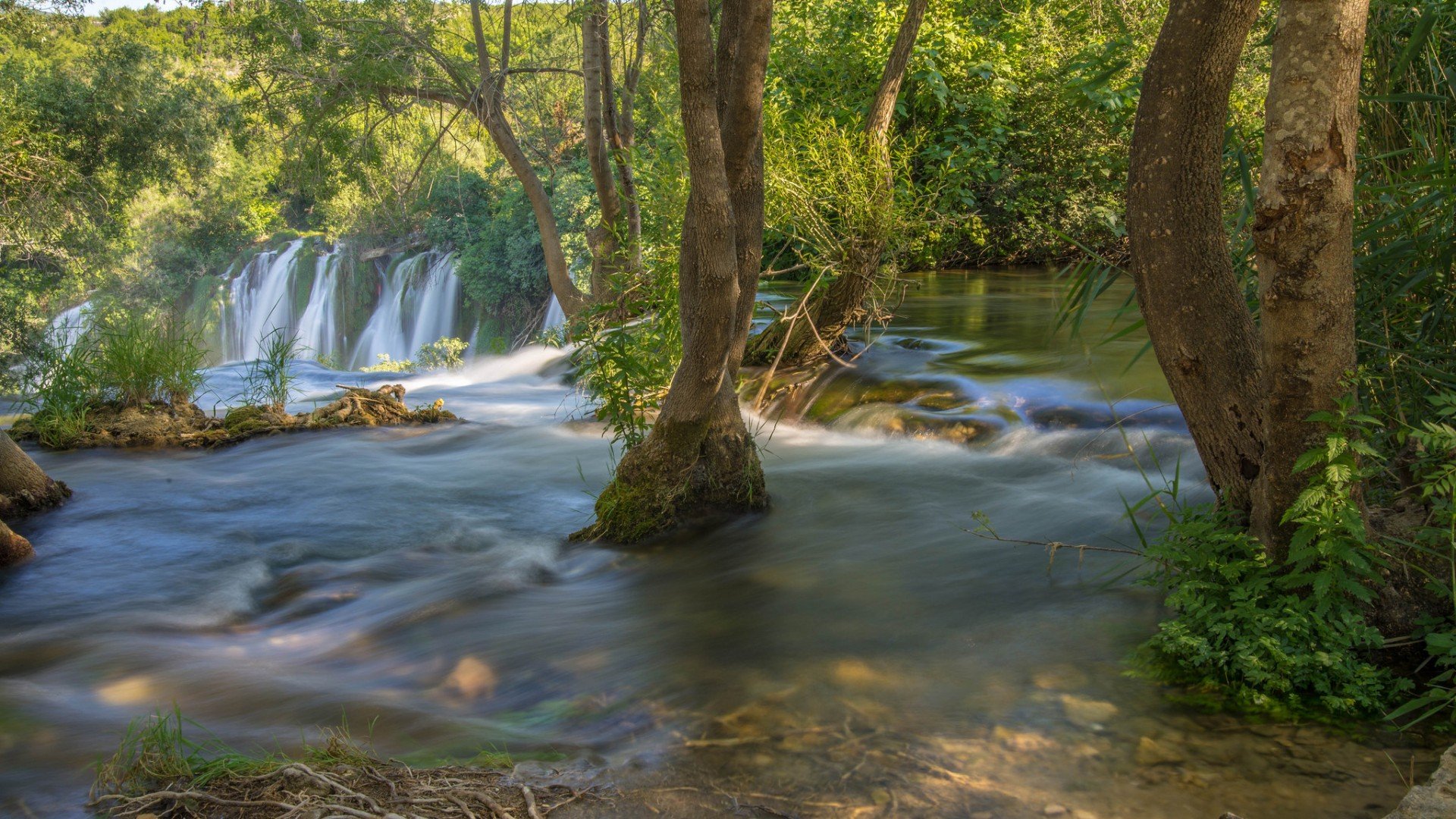 green, Natural, Landscape, River Wallpapers HD / Desktop and Mobile ...