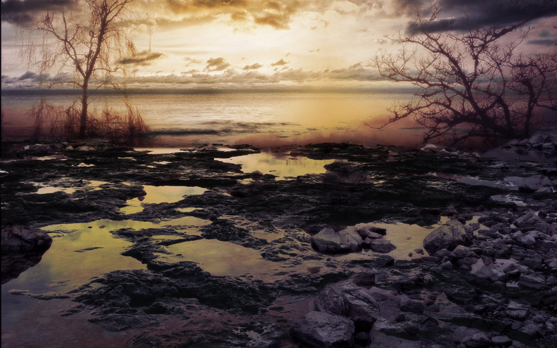 ocean, Trees, Pretty, Rocks, Shore Wallpapers HD / Desktop and Mobile ...