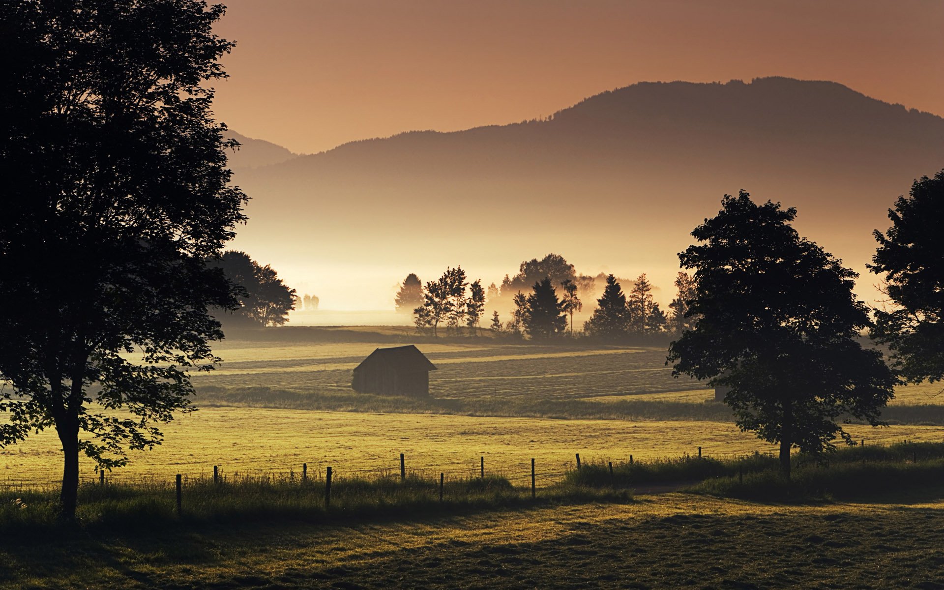 de wp1 Wallpapers HD / Desktop and Mobile Backgrounds