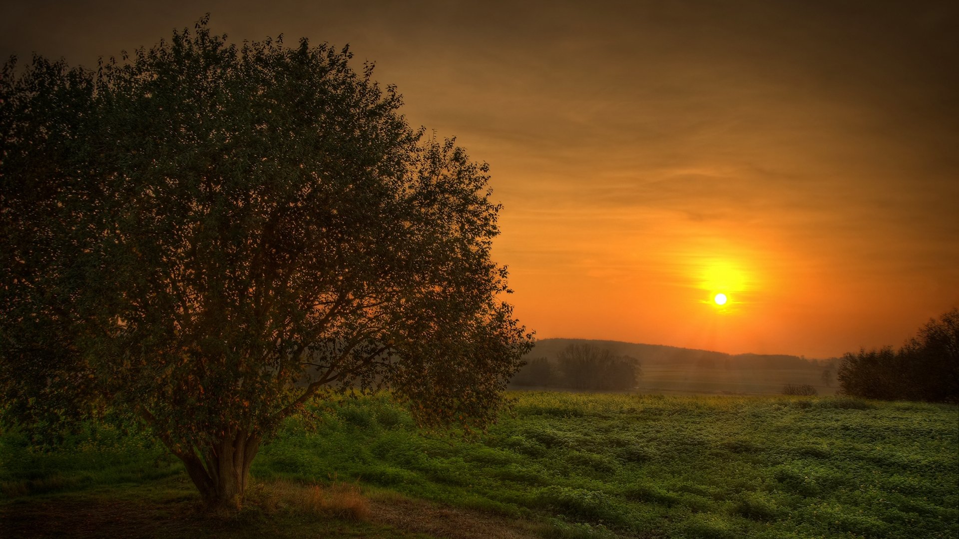 15 Wallpapers HD / Desktop and Mobile Backgrounds