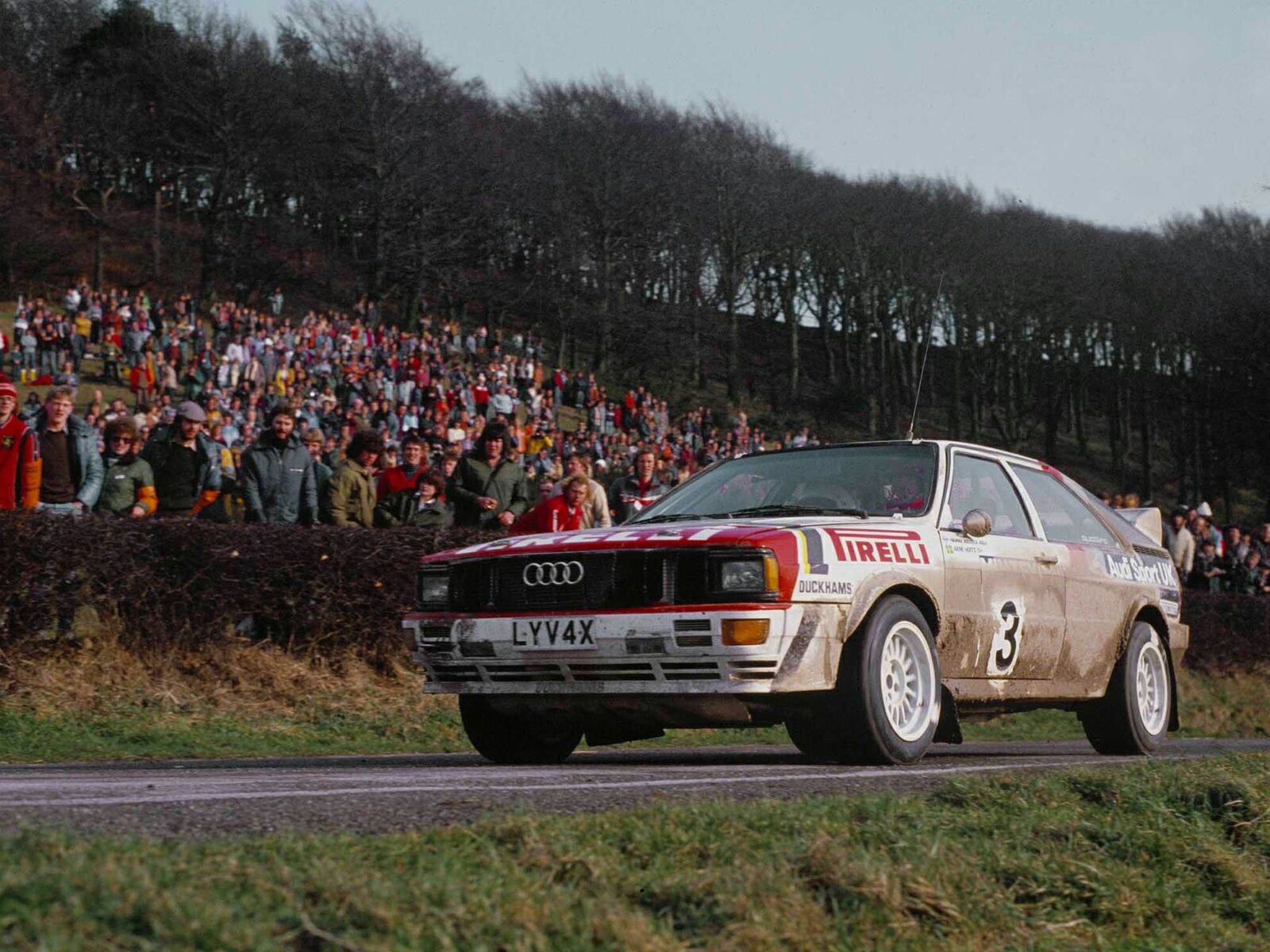 1981, Audi, Quattro, Group 4, Rally, Car, typ 85 , Race, Racing ...