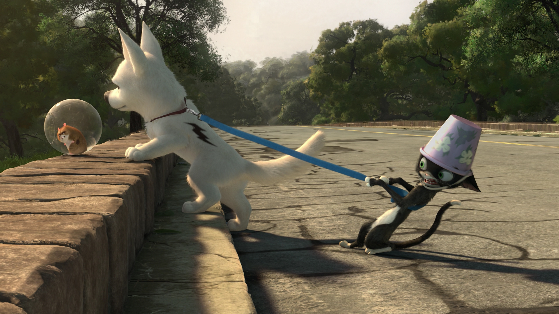 bolt, Movie Wallpapers HD / Desktop and Mobile Backgrounds