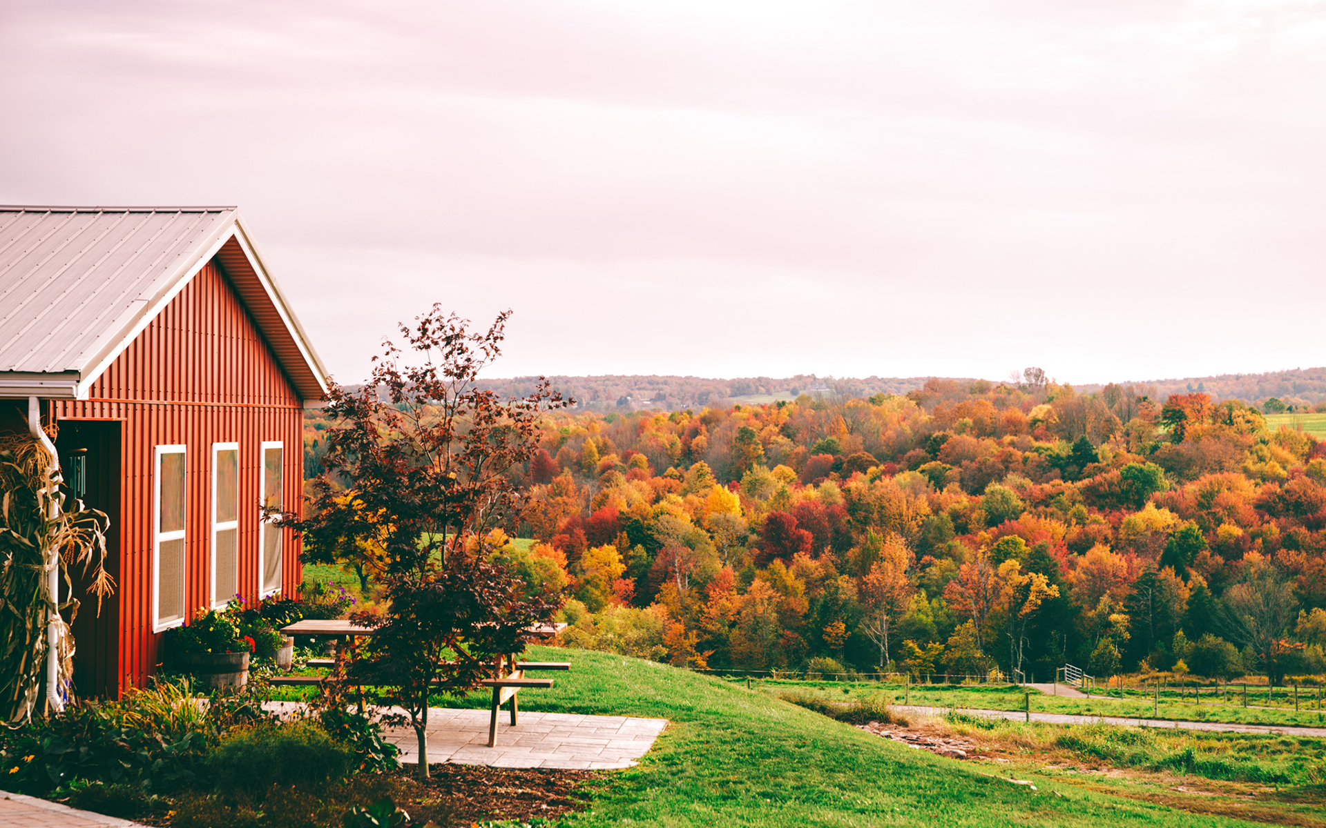 house, Trees, Autumn Wallpapers HD / Desktop and Mobile Backgrounds