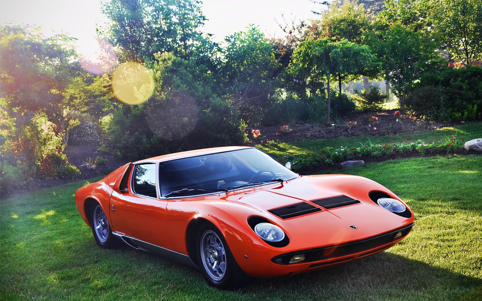 cars, Garden, Lamborghini, Sunlight, Lamborghini, Miura Wallpapers HD ...