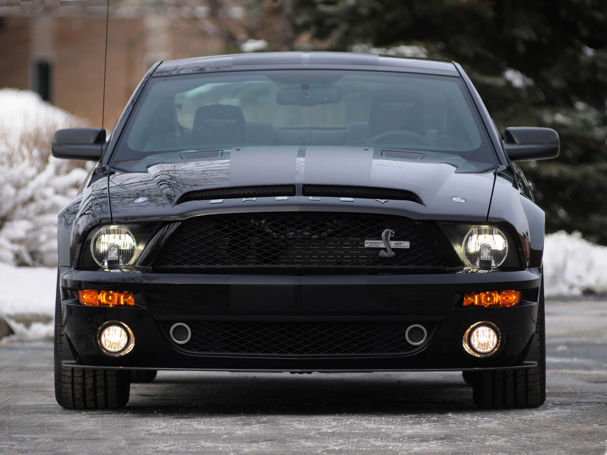 2008, Ford, Mustang, Shelby, Kitt, Knight, Industries, Muscle ...