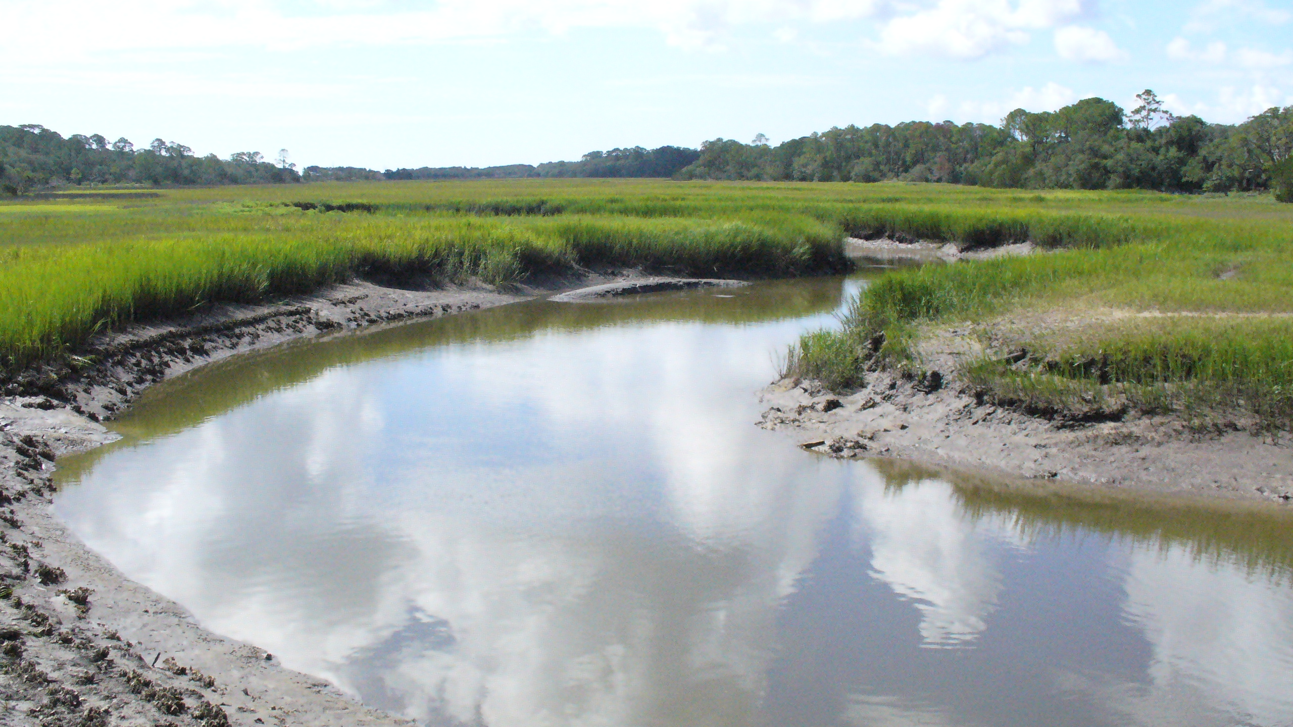landscapes, Grass, Rivers Wallpapers HD / Desktop and Mobile Backgrounds