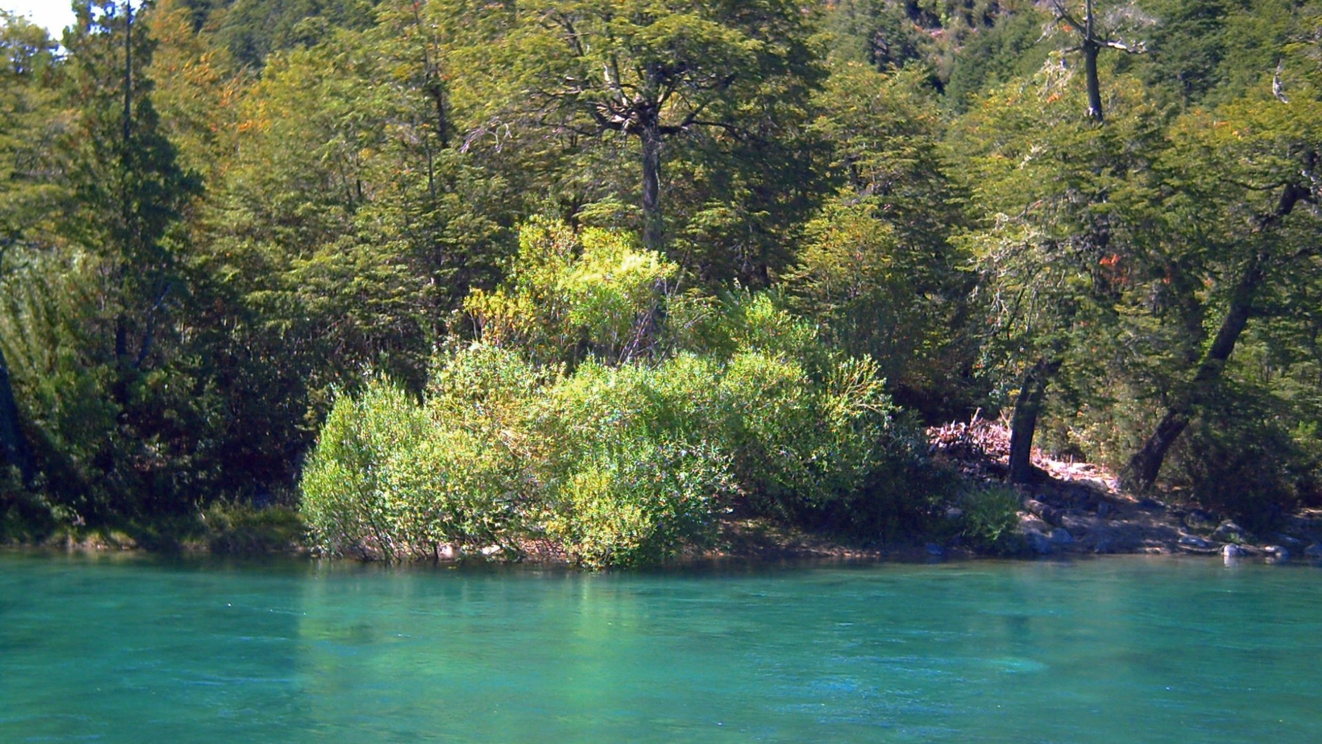green, Water, Chile, Landscapes, Nature, Forests, Rivers, Turquoise ...