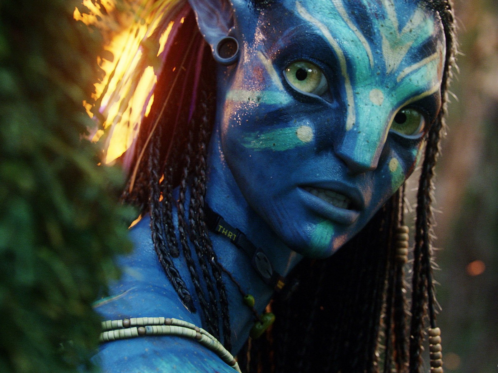 movies, Avatar, Zoe, Saldana, James, Cameron Wallpapers HD / Desktop ...