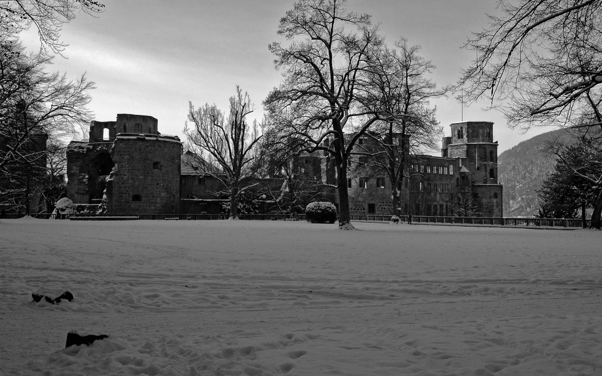 landscapes, Nature, Castles, Grayscale Wallpapers HD / Desktop and ...