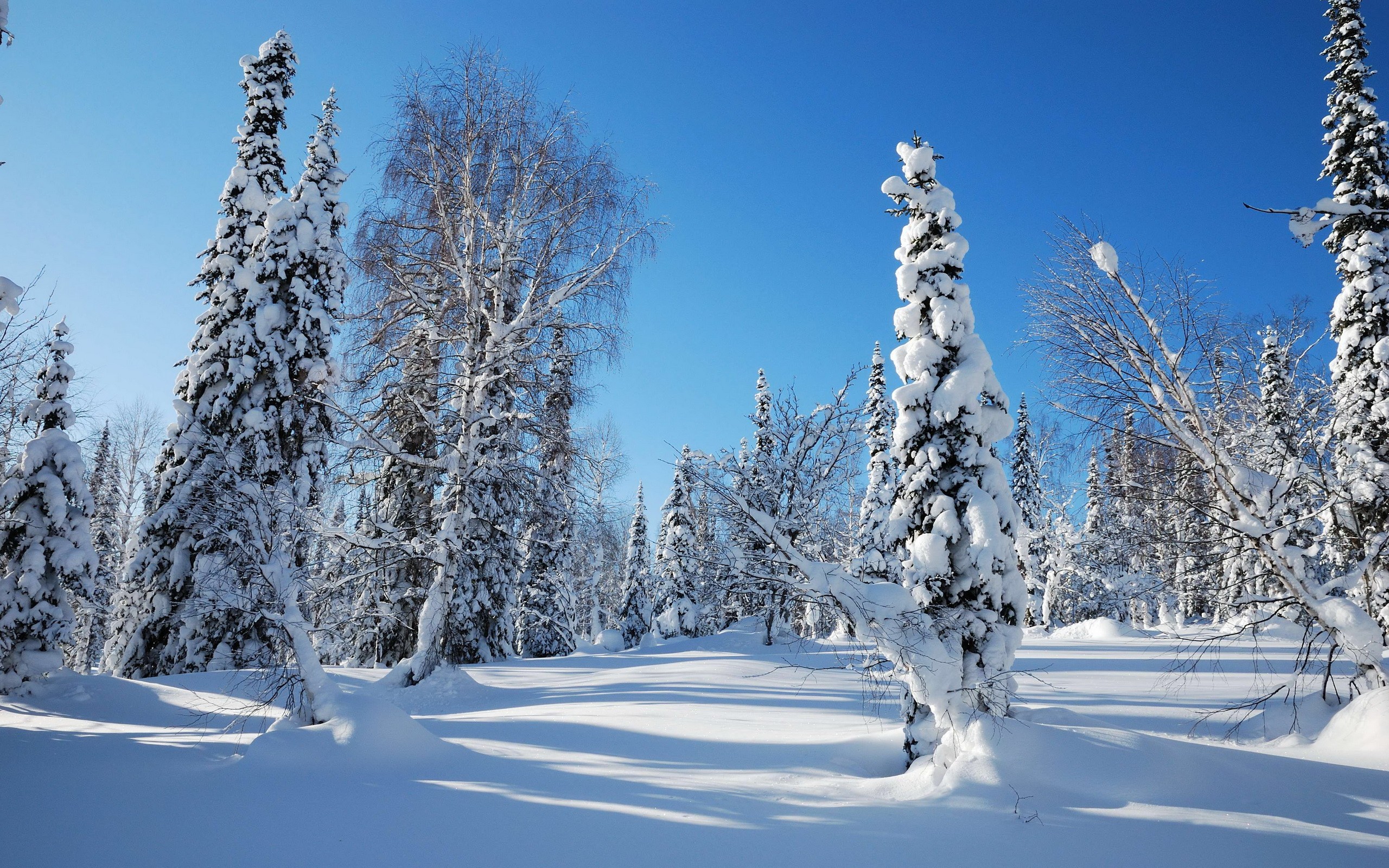 landscapes, Nature, Winter, Snow, Trees Wallpapers HD / Desktop and ...