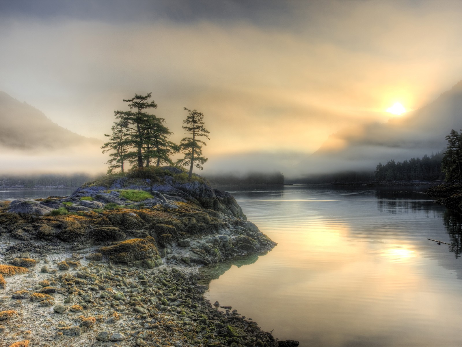 sunset, Landscapes, Trees, British, Columbia, Low, Tide Wallpapers HD ...