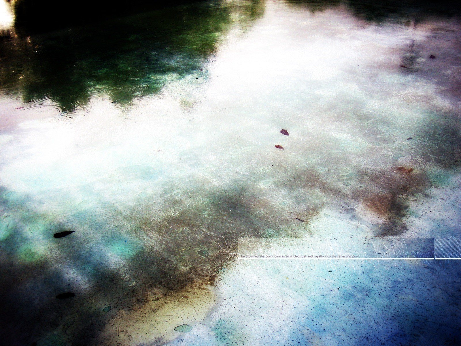 water, Reflections Wallpapers HD / Desktop and Mobile Backgrounds