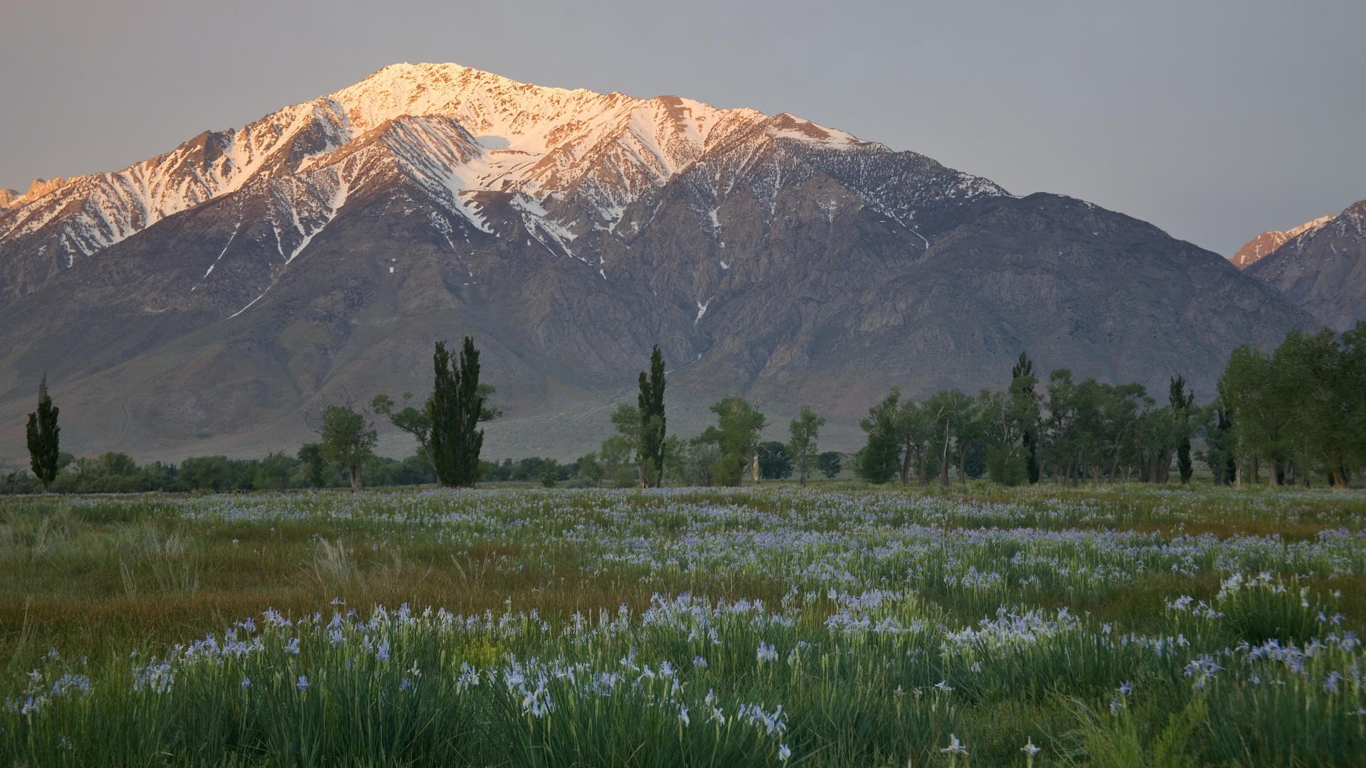 mountains, Nature, Snow, Grass Wallpapers HD / Desktop and Mobile ...