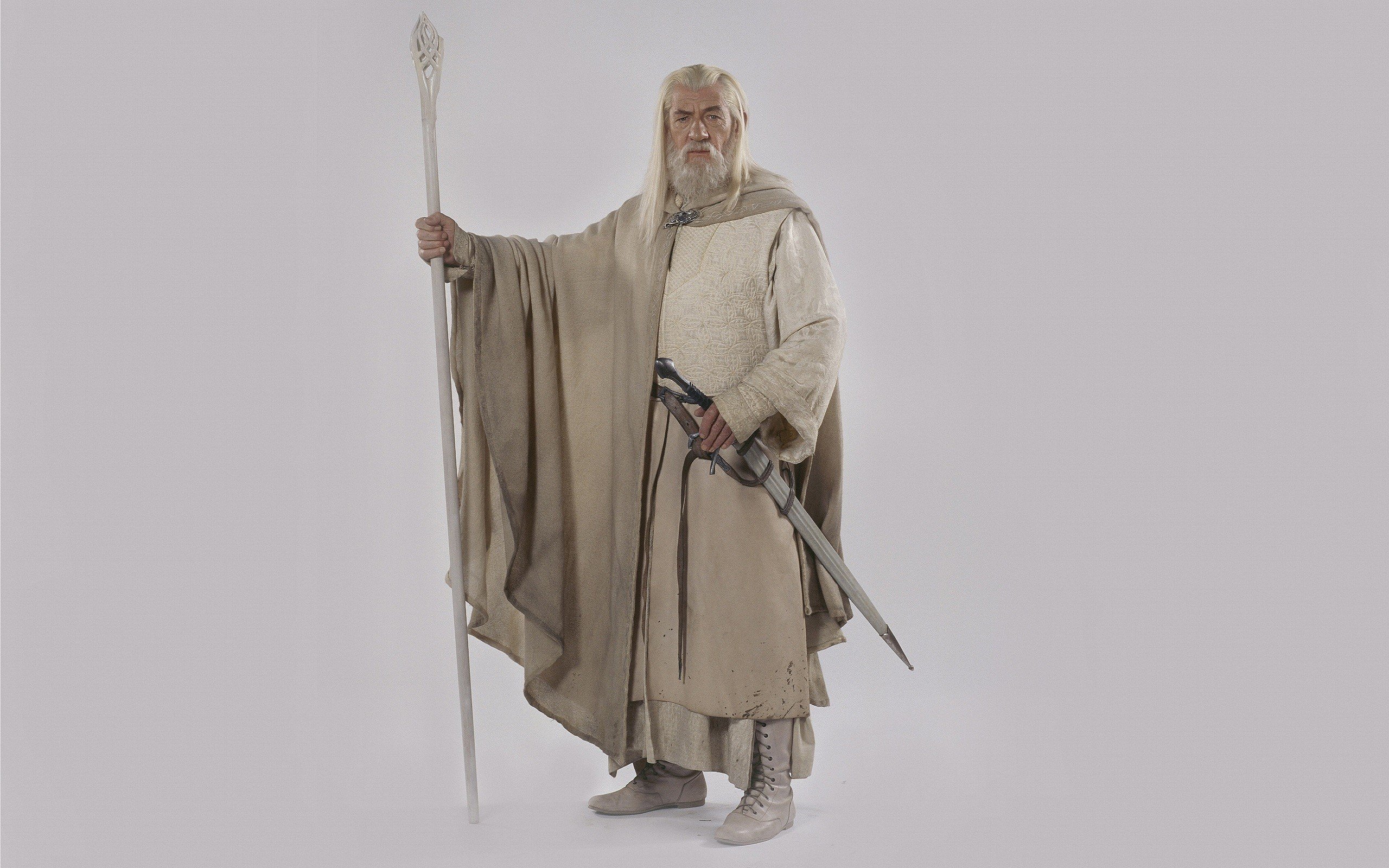 mage, Gandalf, The, Lord, Of, The, Rings, Wizards, Warriors, Ian ...