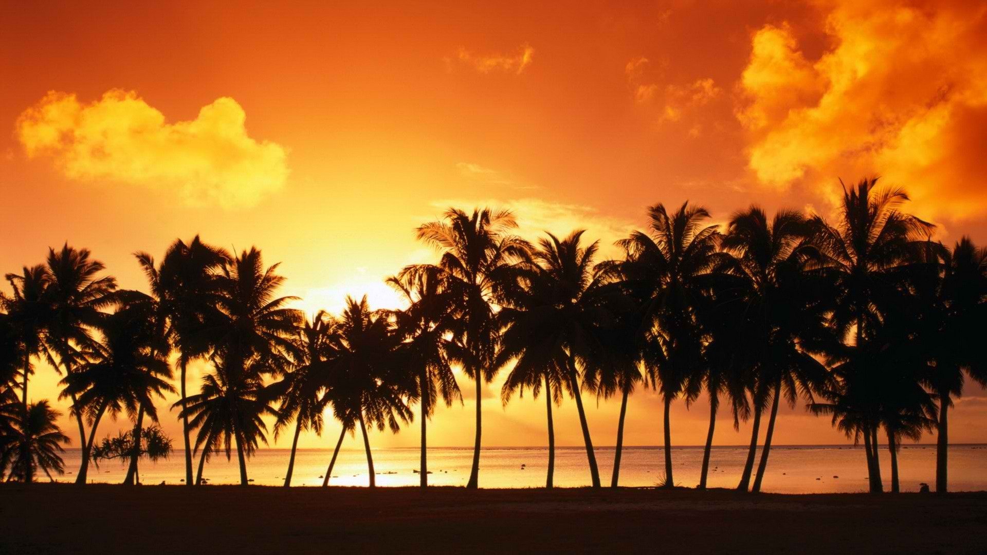 sunset, Cook, Islands, Islands Wallpapers HD / Desktop and Mobile ...