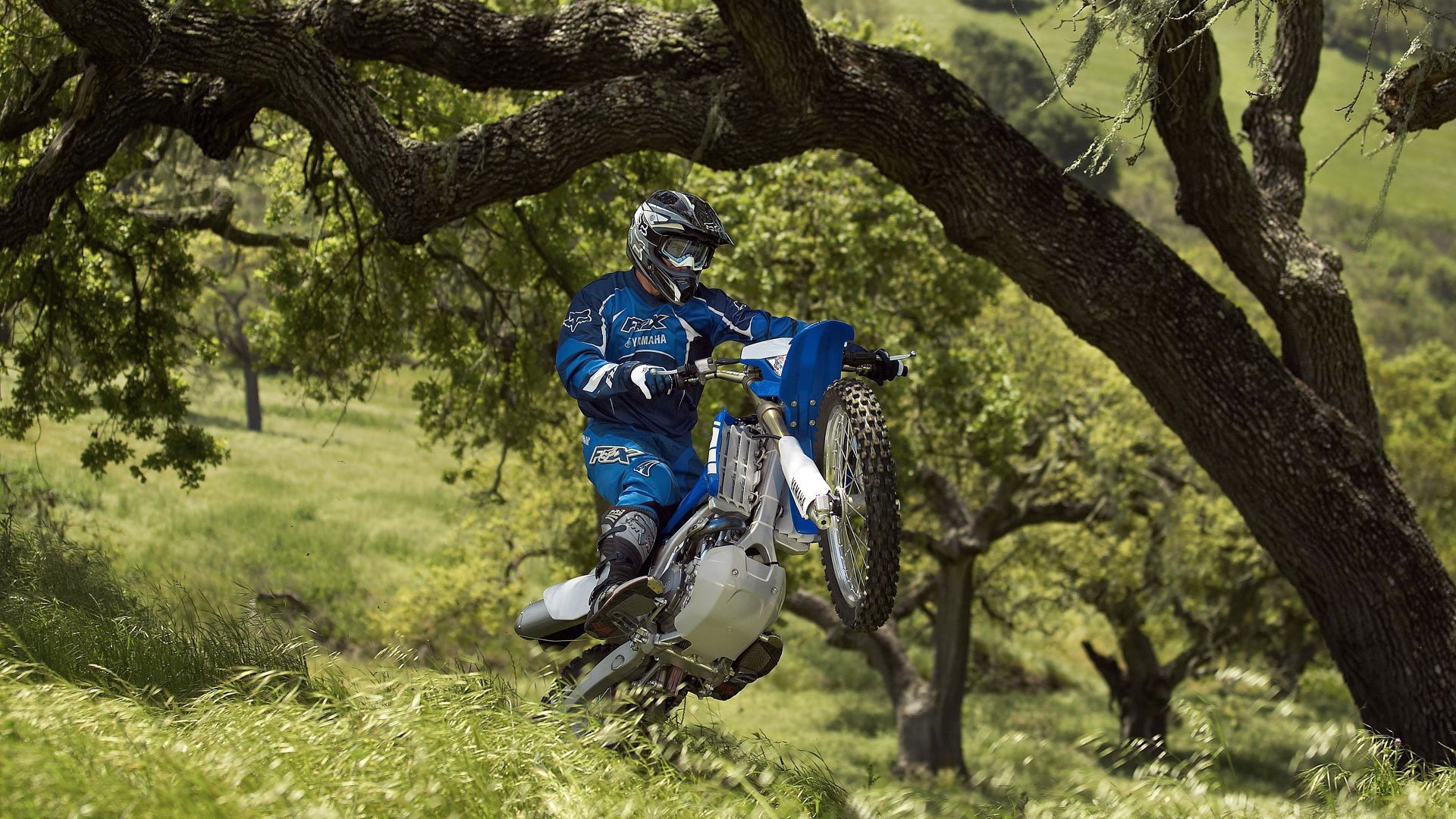 nature, Trees, Forests, Yamaha, Motorbikes Wallpapers HD / Desktop and ...
