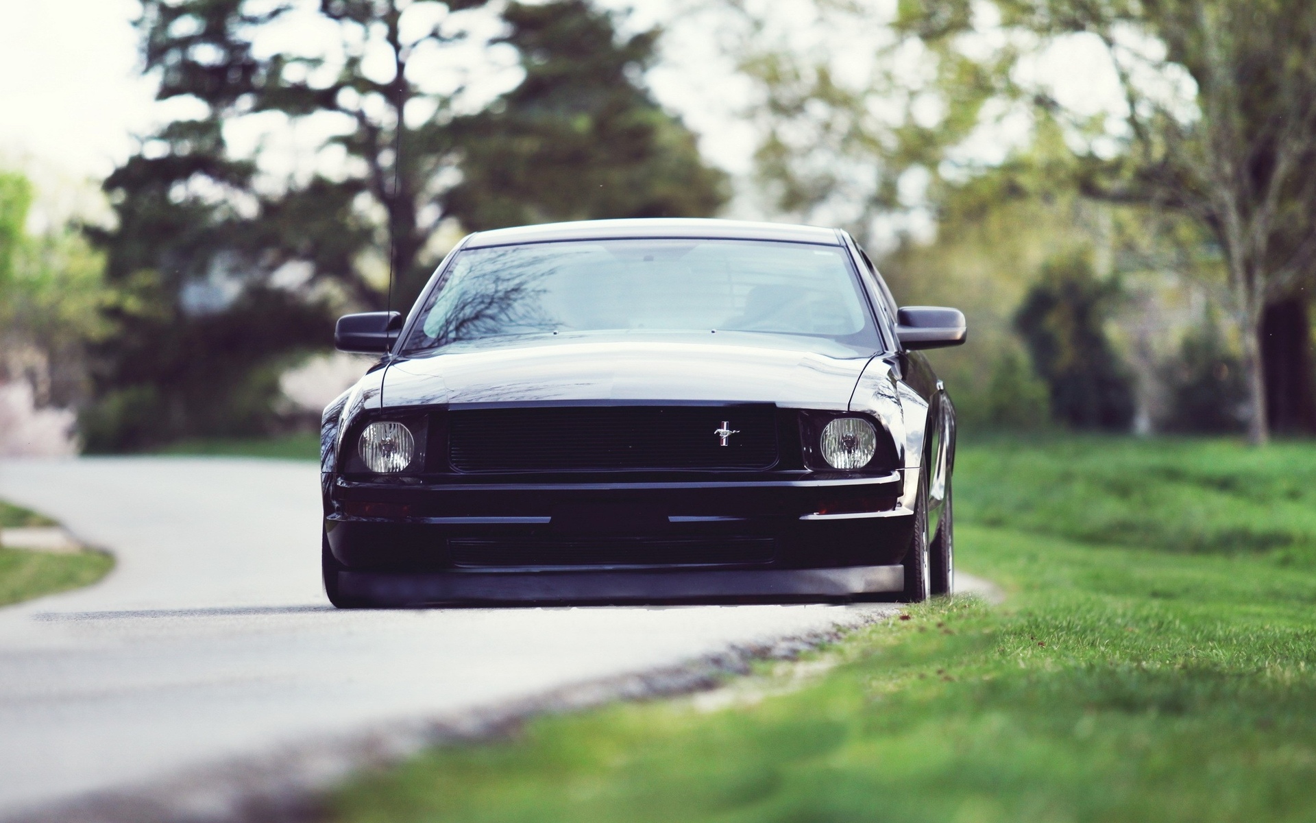 shelby, Gt500, Ford, Mustamng, Vehicles, Cars, Muscle, Stance, Tuning ...