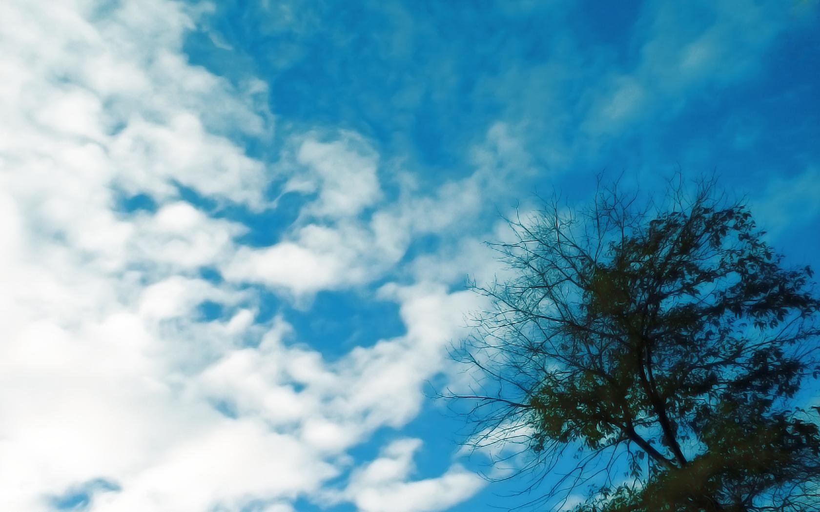 clouds, Nature, Trees, Skyscapes Wallpapers HD / Desktop and Mobile ...