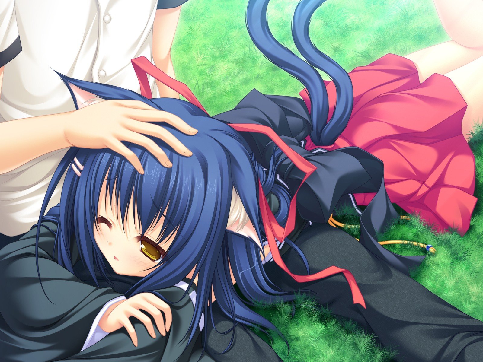 tails, School, Uniforms, Skirts, Ribbons, Nekomimi, Blue, Hair, Animal ...