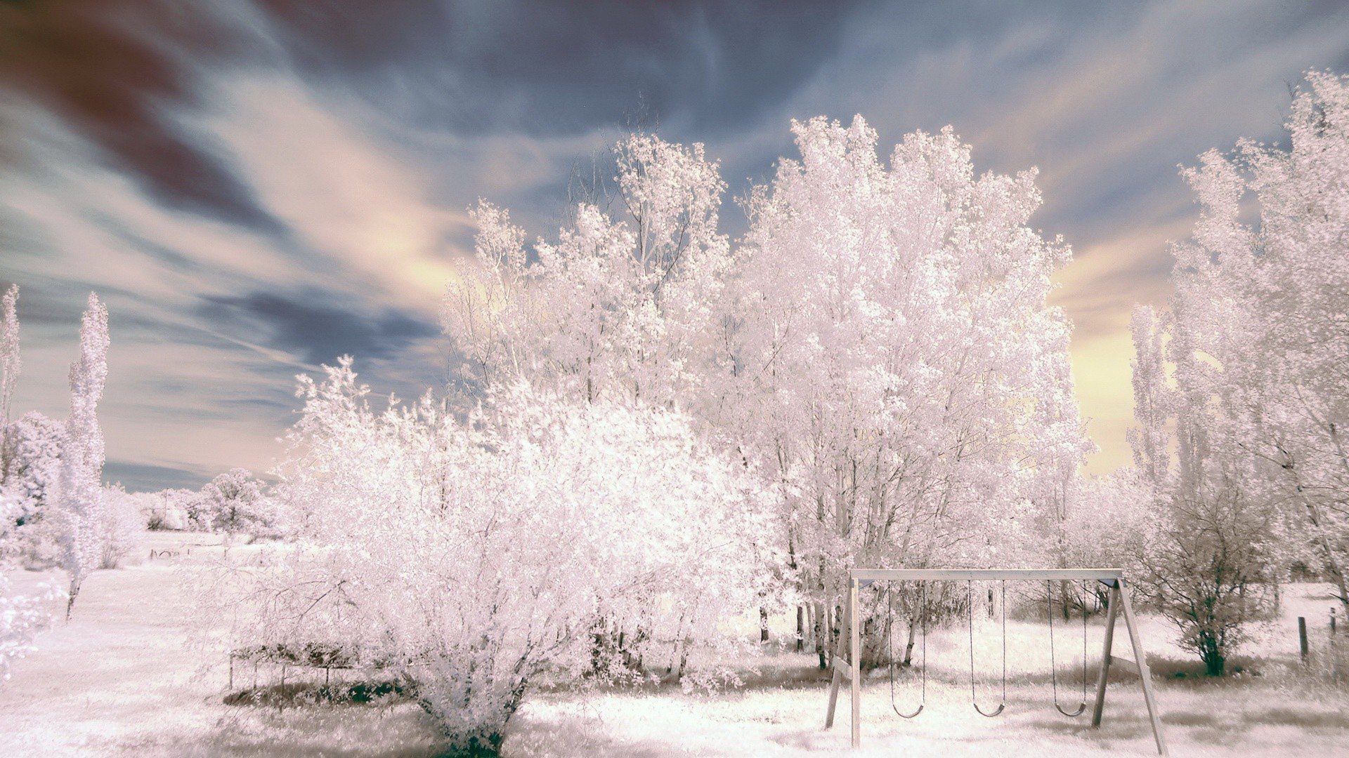 landscapes, Nature, Winter, Trees, Hdr, Photography Wallpapers HD ...