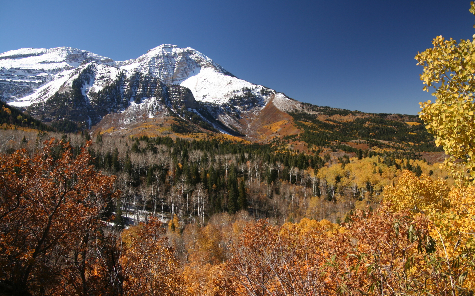 nature, Landscapes, Mountains, Trees, Forest, Autumn, Fall, Seasons ...