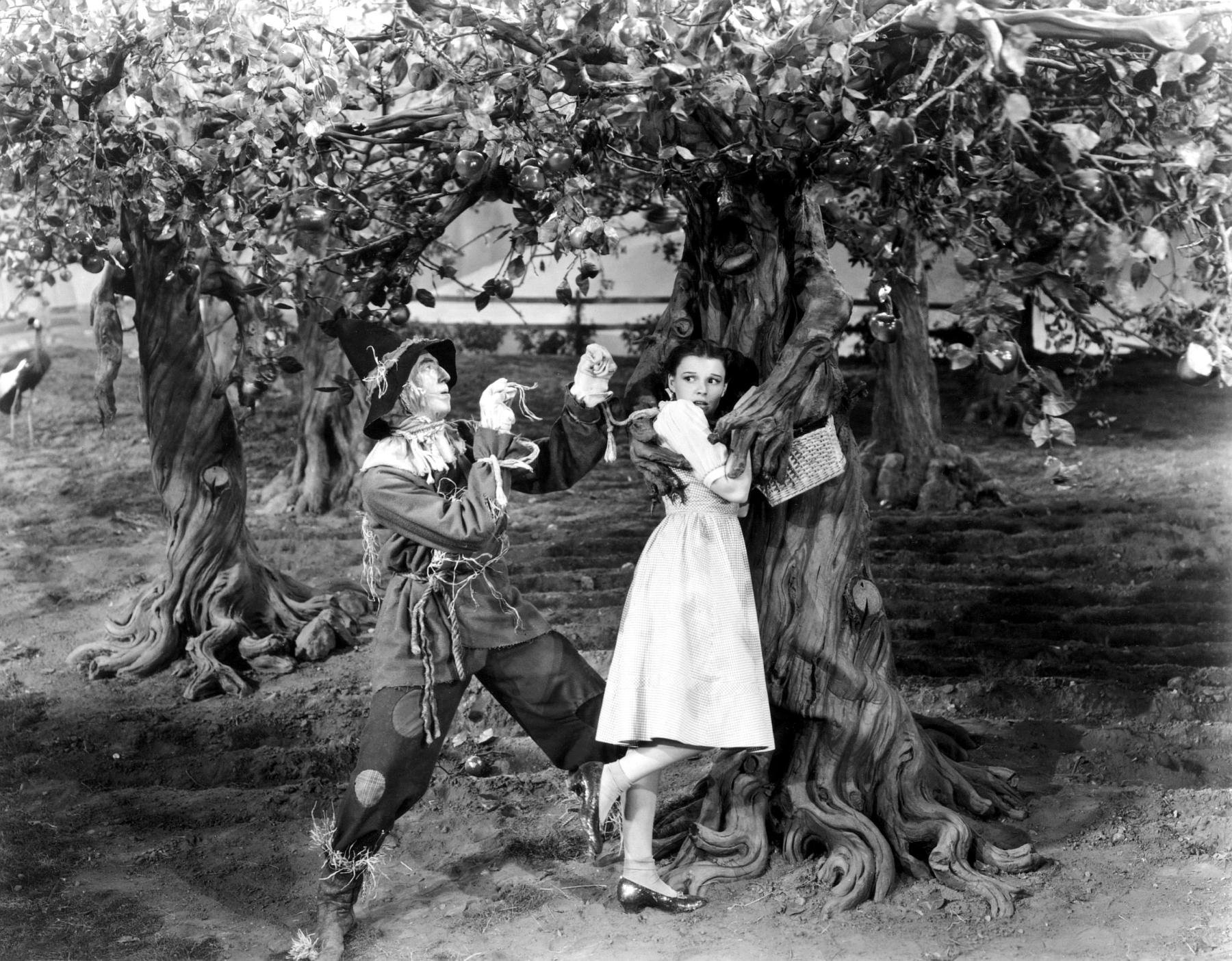 wizard, Of, O z, Adventure, Family, Fantasy, Movie, Film, Wizard of oz ...