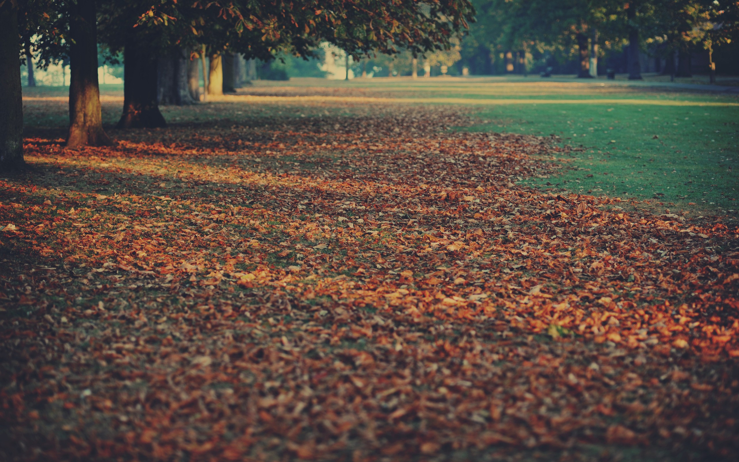 the, Park, Of, Fallen, Leaves Wallpapers HD / Desktop and Mobile ...